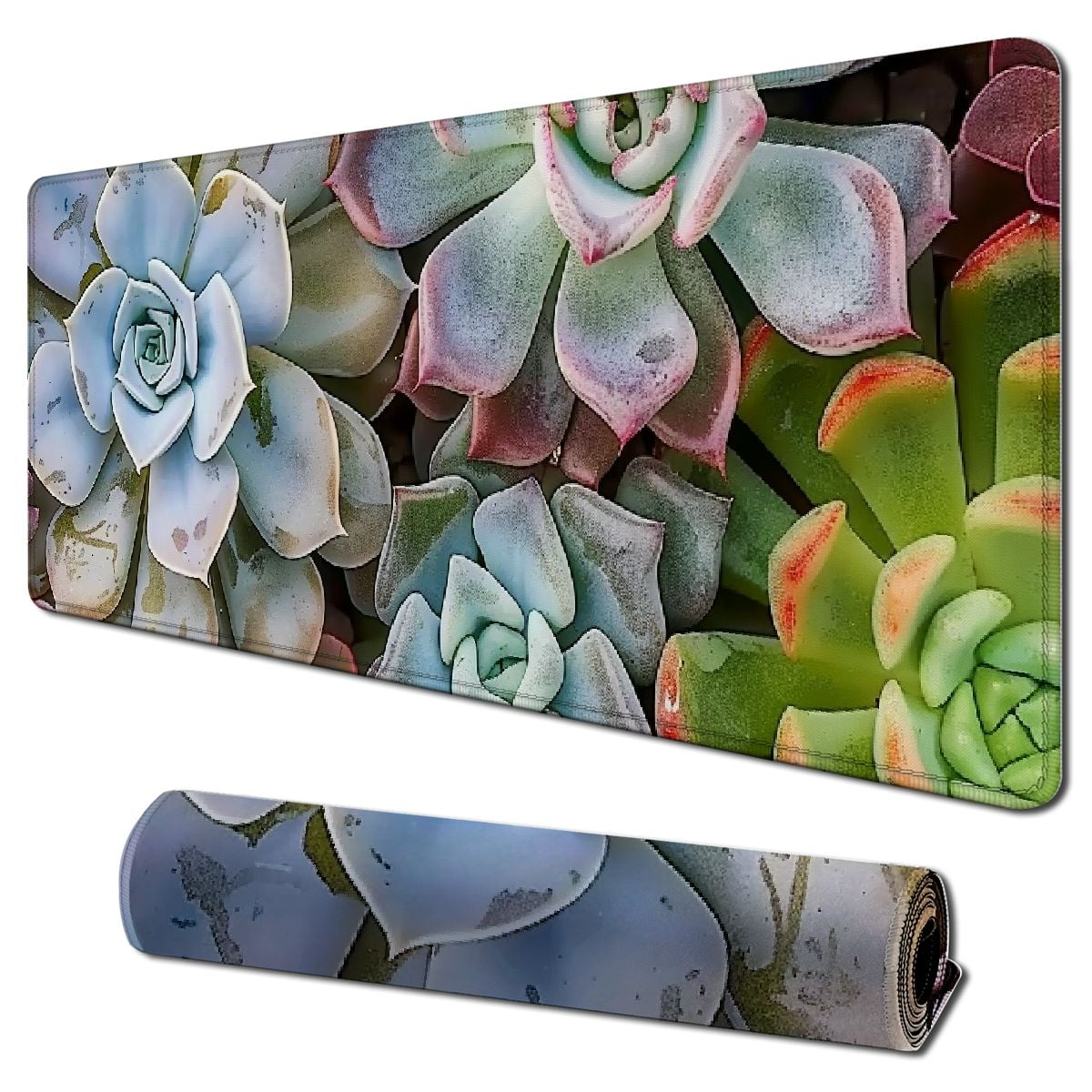 Heduofu Cute Succulents Mouse Pad, Natural Plants Mousepad for Design ...