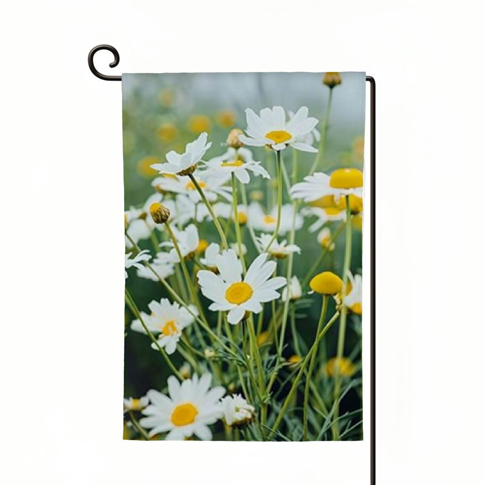 Heduofu Daisy Flowers in Pot Spring Summer White Floral Daisies Plant ...