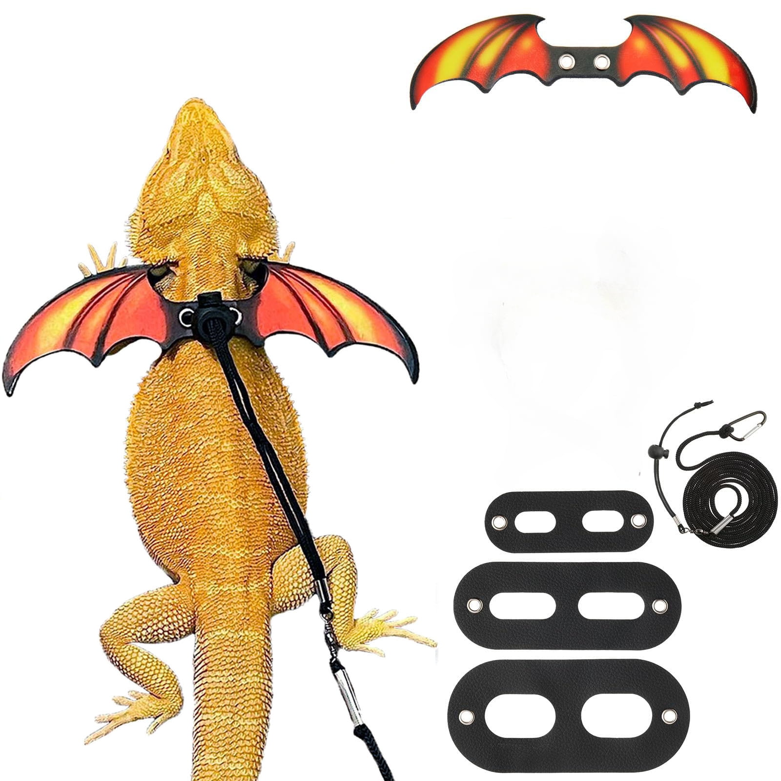 HeeHom Bearded Dragon Leash and Harness Set 3 Size Pack Adjustable Cool ...