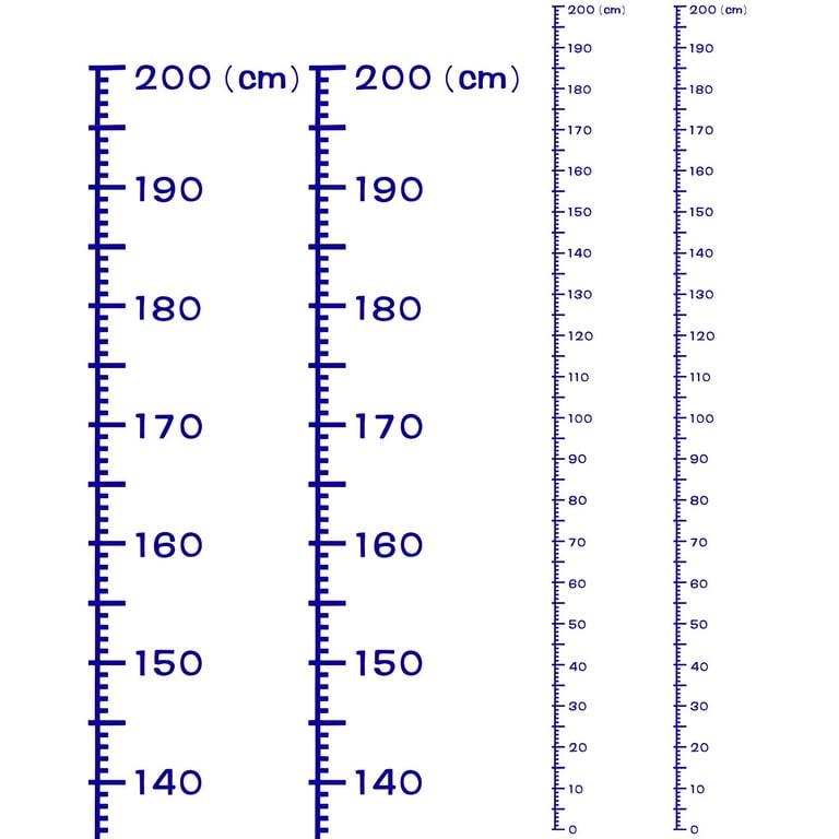 Metric System Ruler