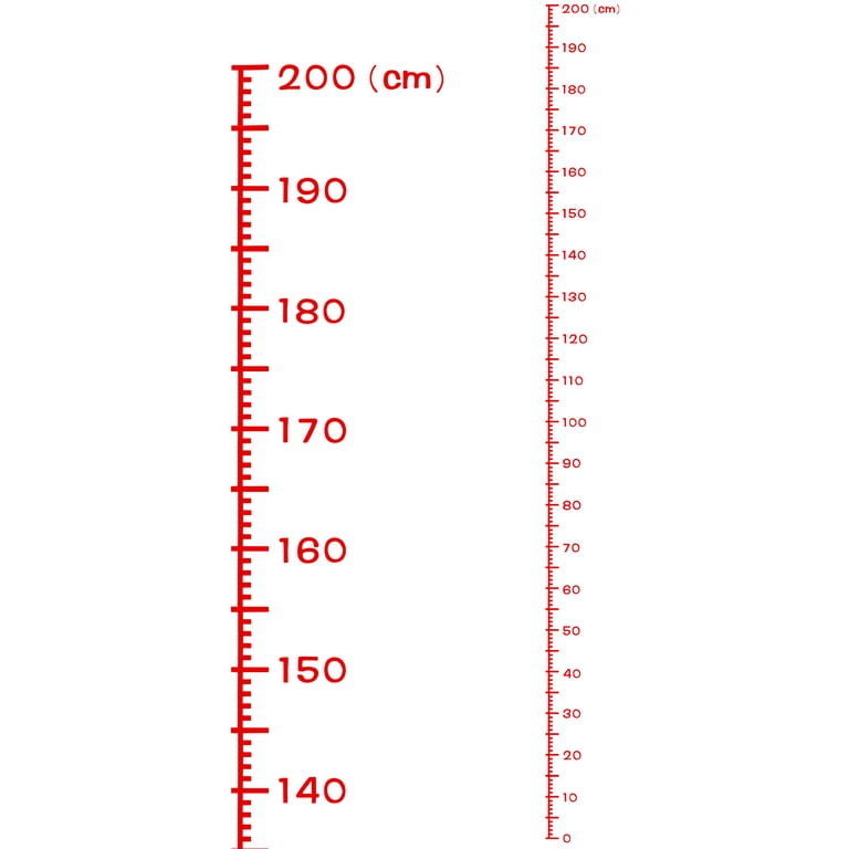 Ruler Measurement Chart 0630A 6inch Inches Metric Ruler