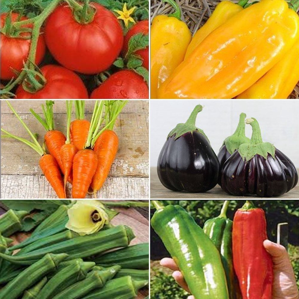 Heirloom Garden Vegetable TWE5 Seed Collection #1 - A 6 Pack of Seeds ...