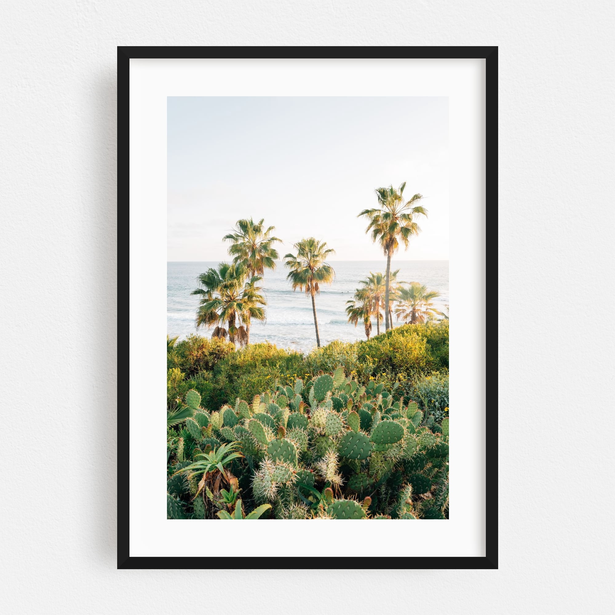 Heisler Park 01 - Laguna Beach California Photography Palm Tree Beach ...