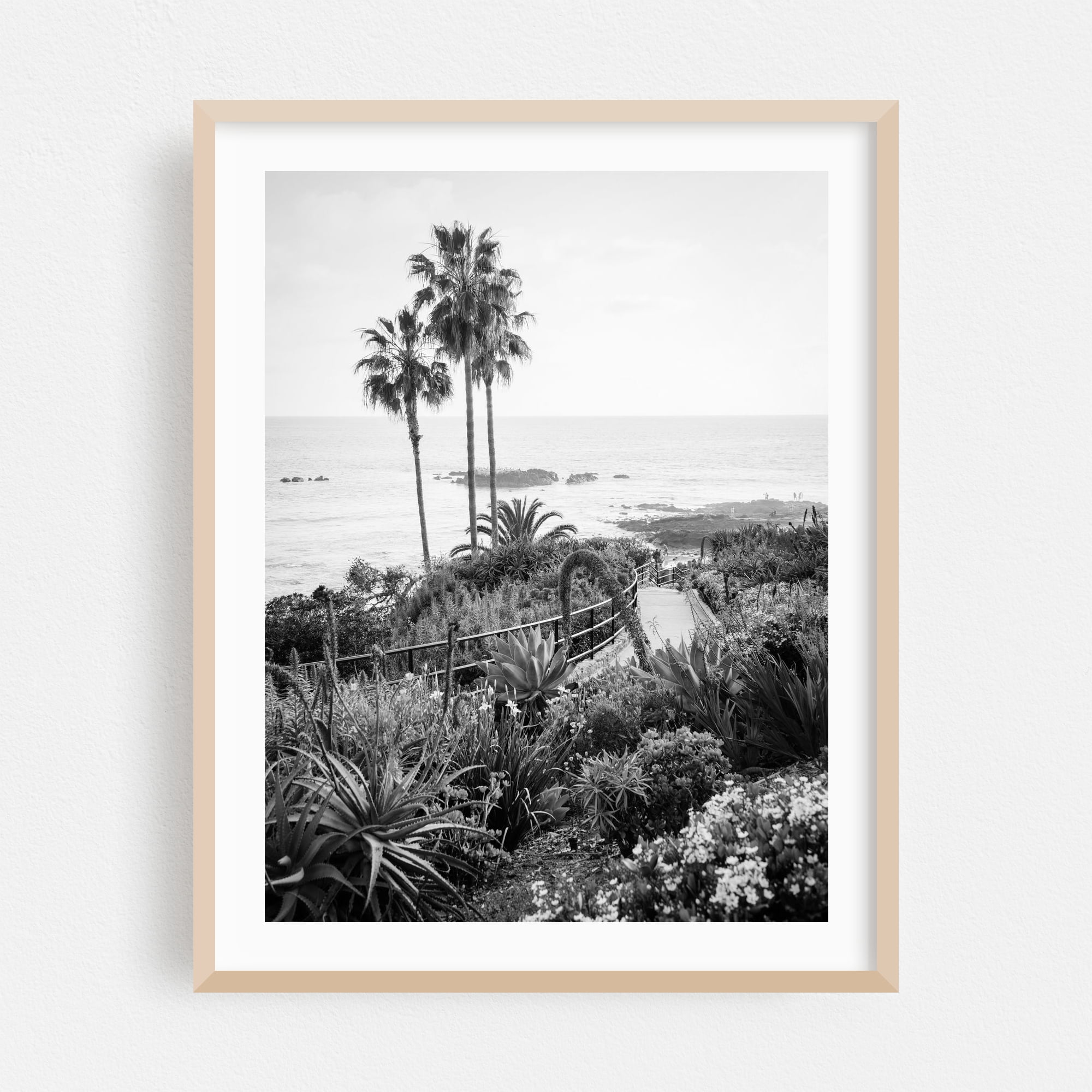 Heisler Park 02 B&W - Laguna Beach California Photography Black and ...
