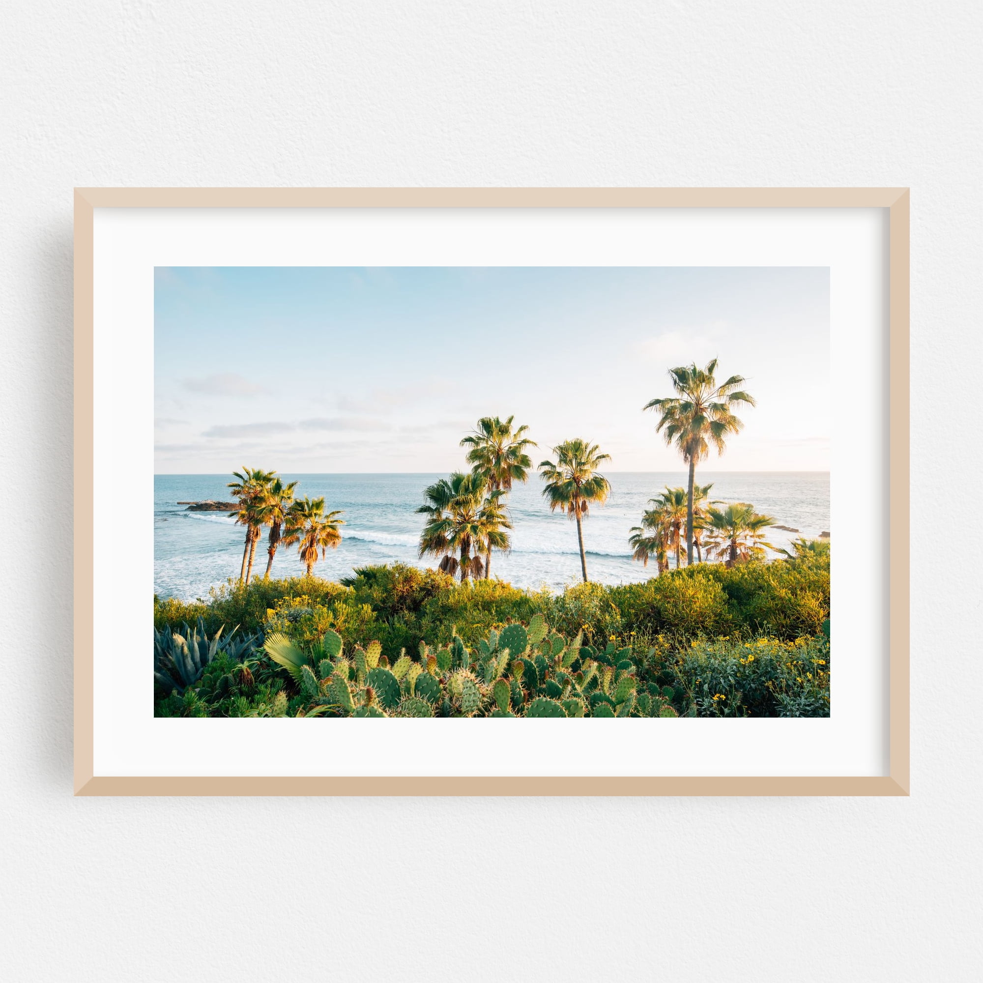 Heisler Park 04 - Laguna Beach California Photography Tropical Palm ...