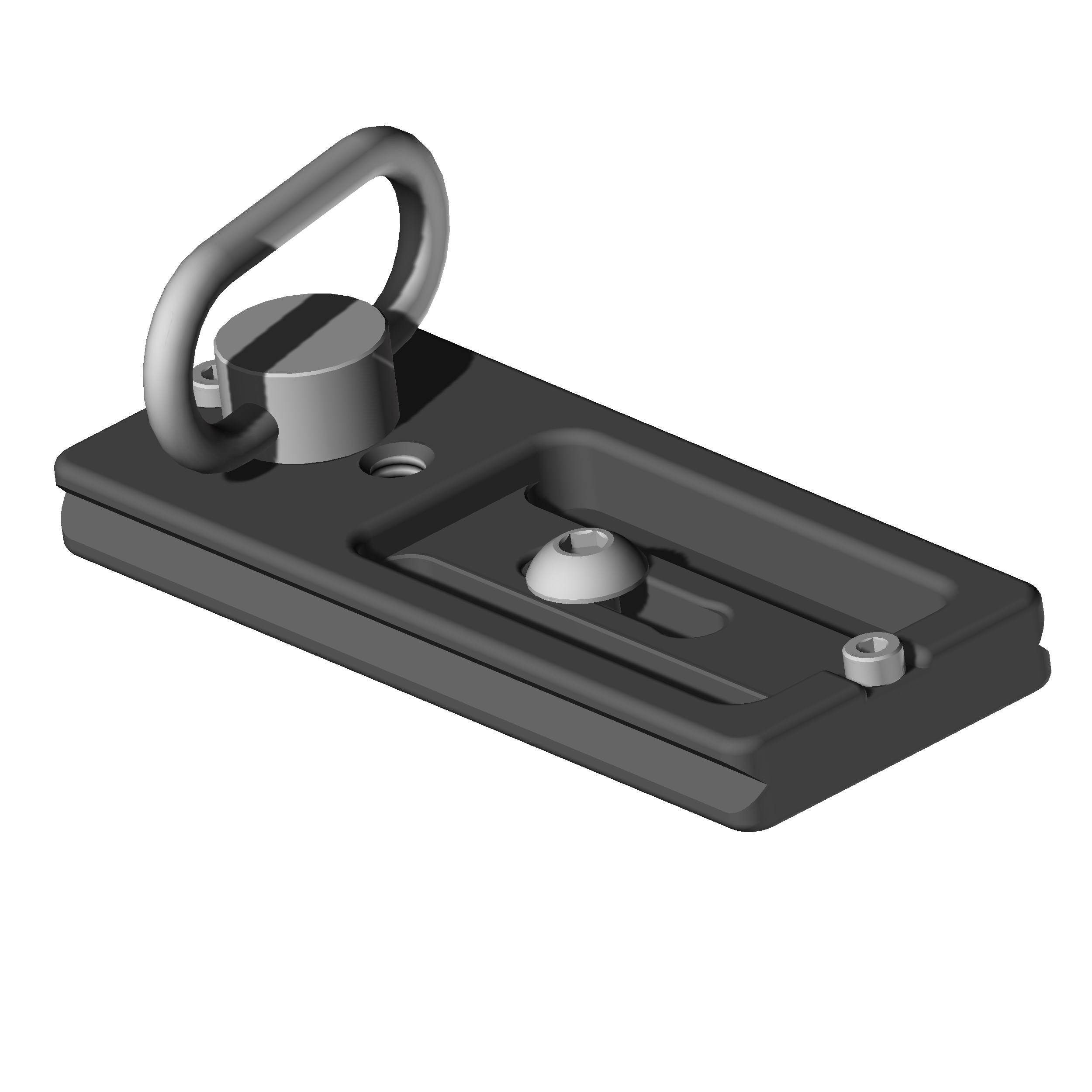 Hejnar Photo Arca Swiss type Lens Plate for Canon RF 100-500mm f/4.5-7. ...