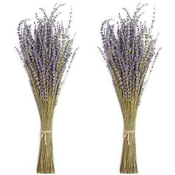 Dried Lavendar