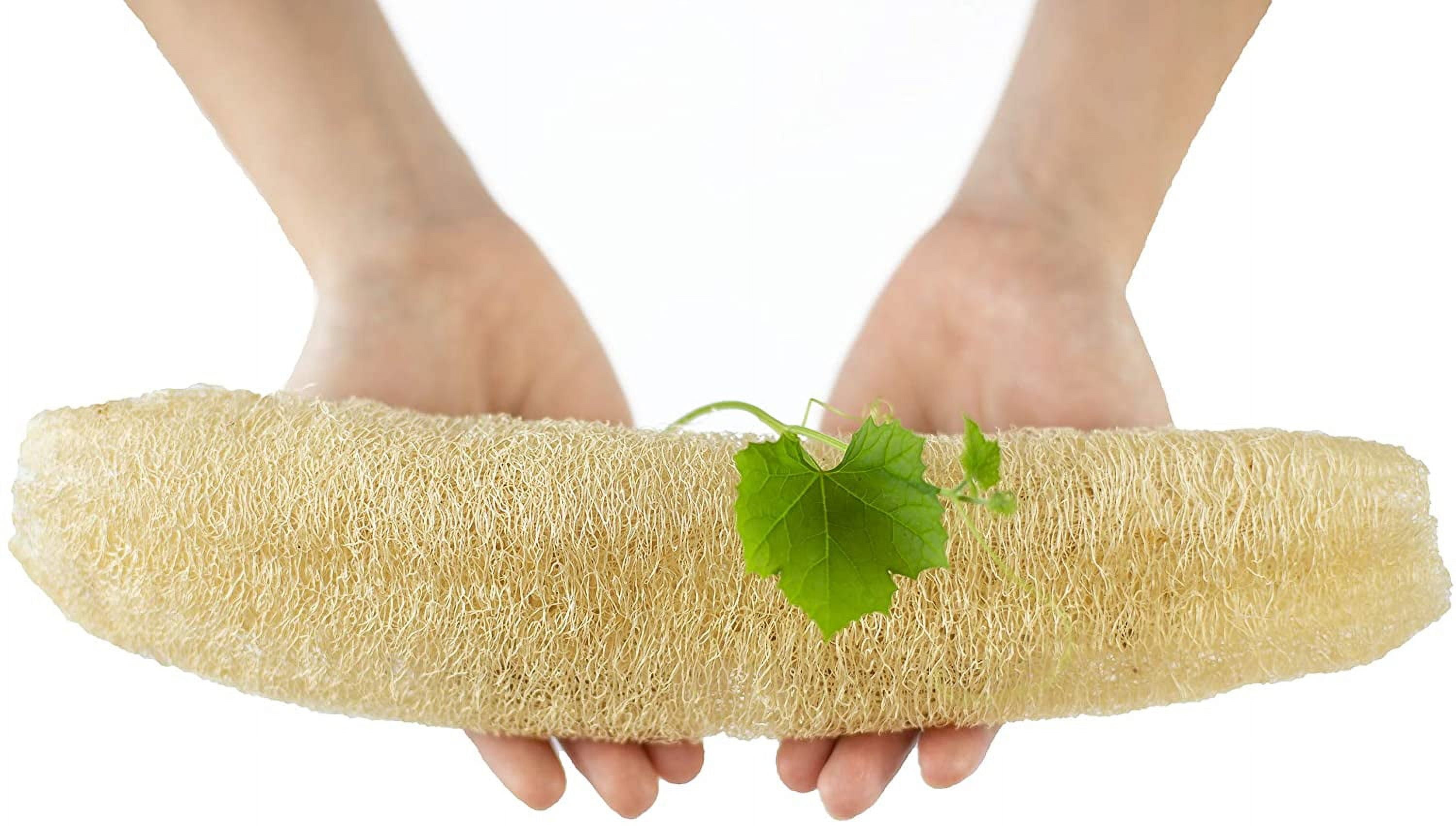 Heldig Large Whole Natural Loofah Vegetable Dish Scouring Pad for ...
