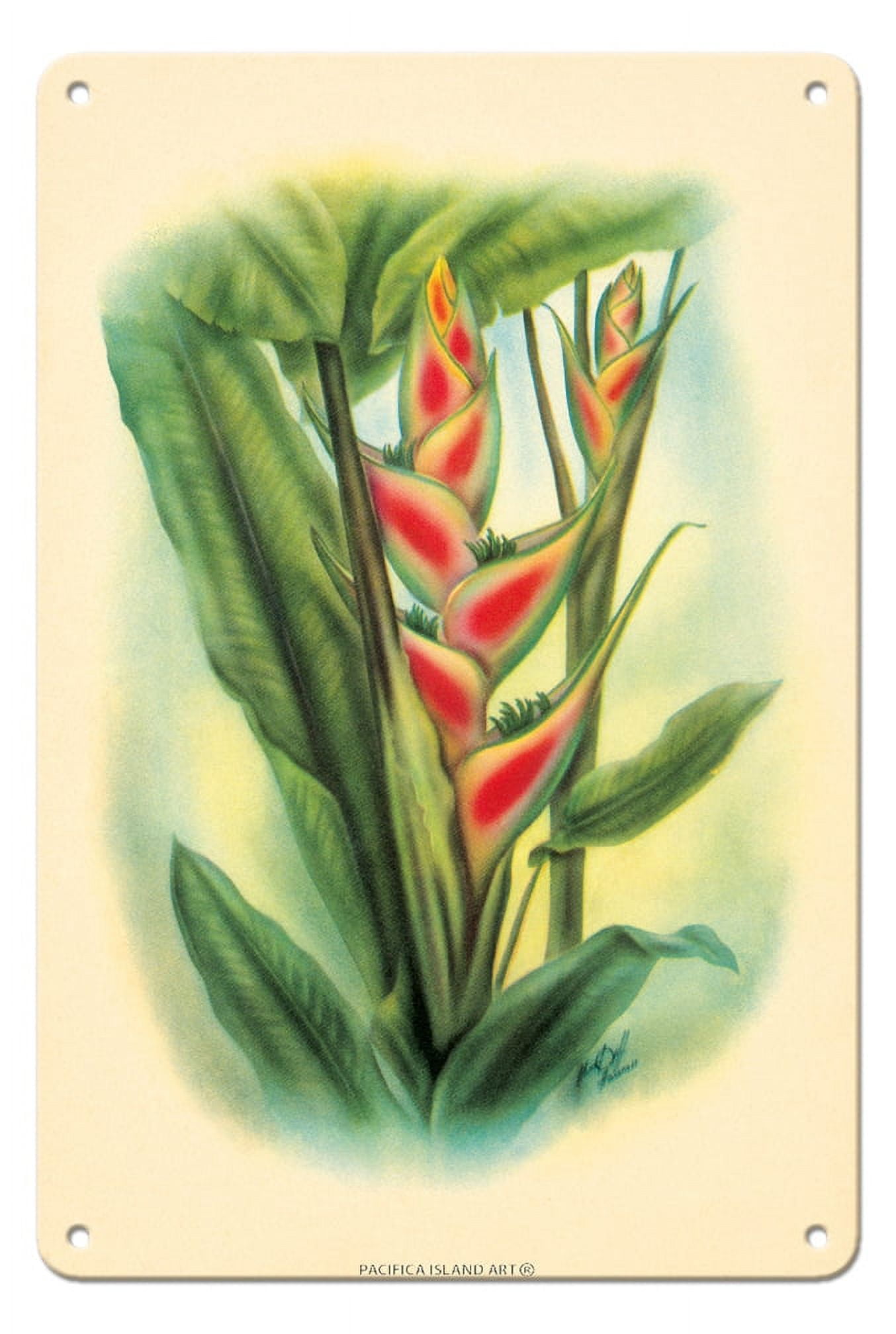 Heliconia - Color Book Plate from - In An Old Hawaiian Garden - Vintage ...