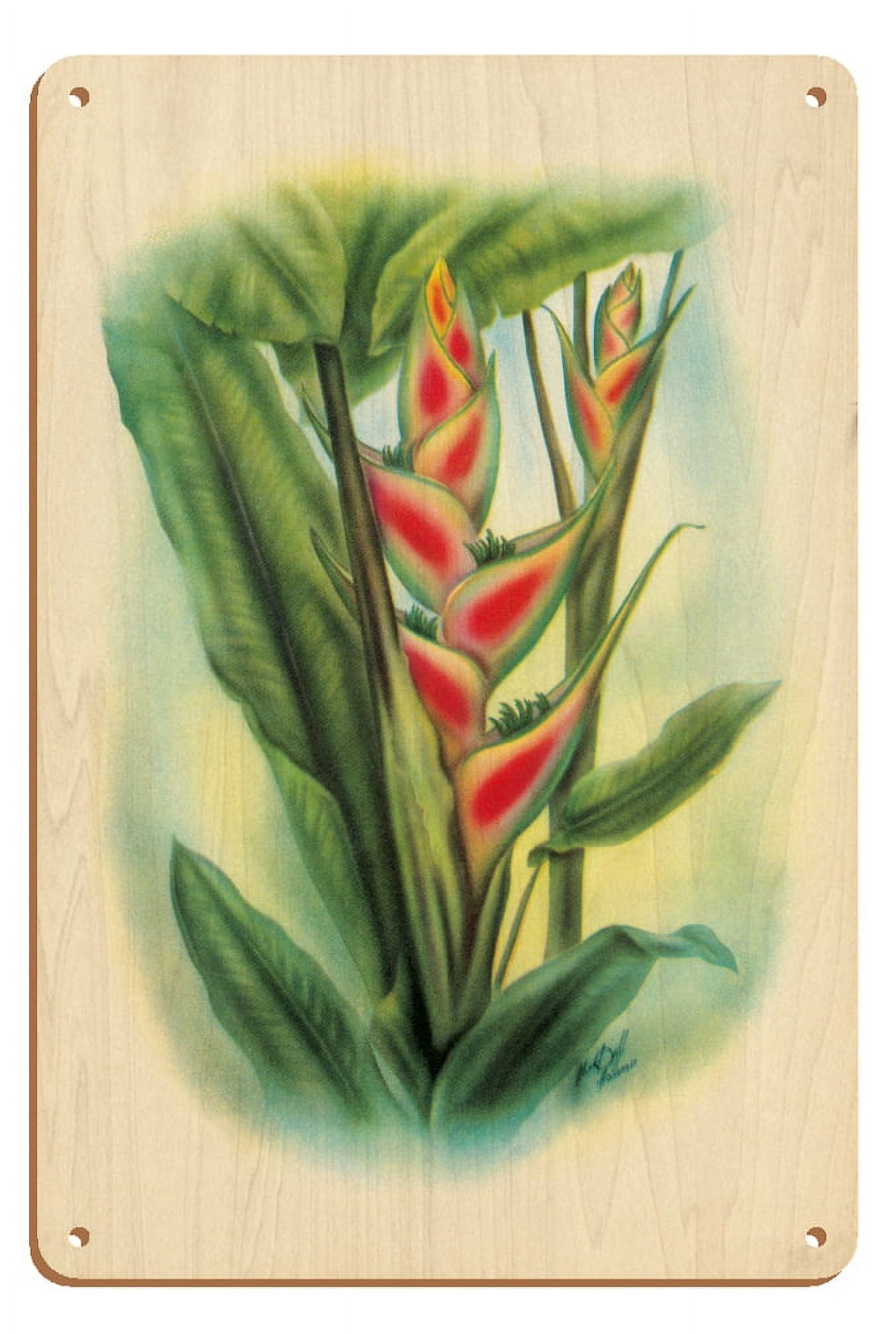 Heliconia - Color Book Plate from - In An Old Hawaiian Garden - Vintage ...