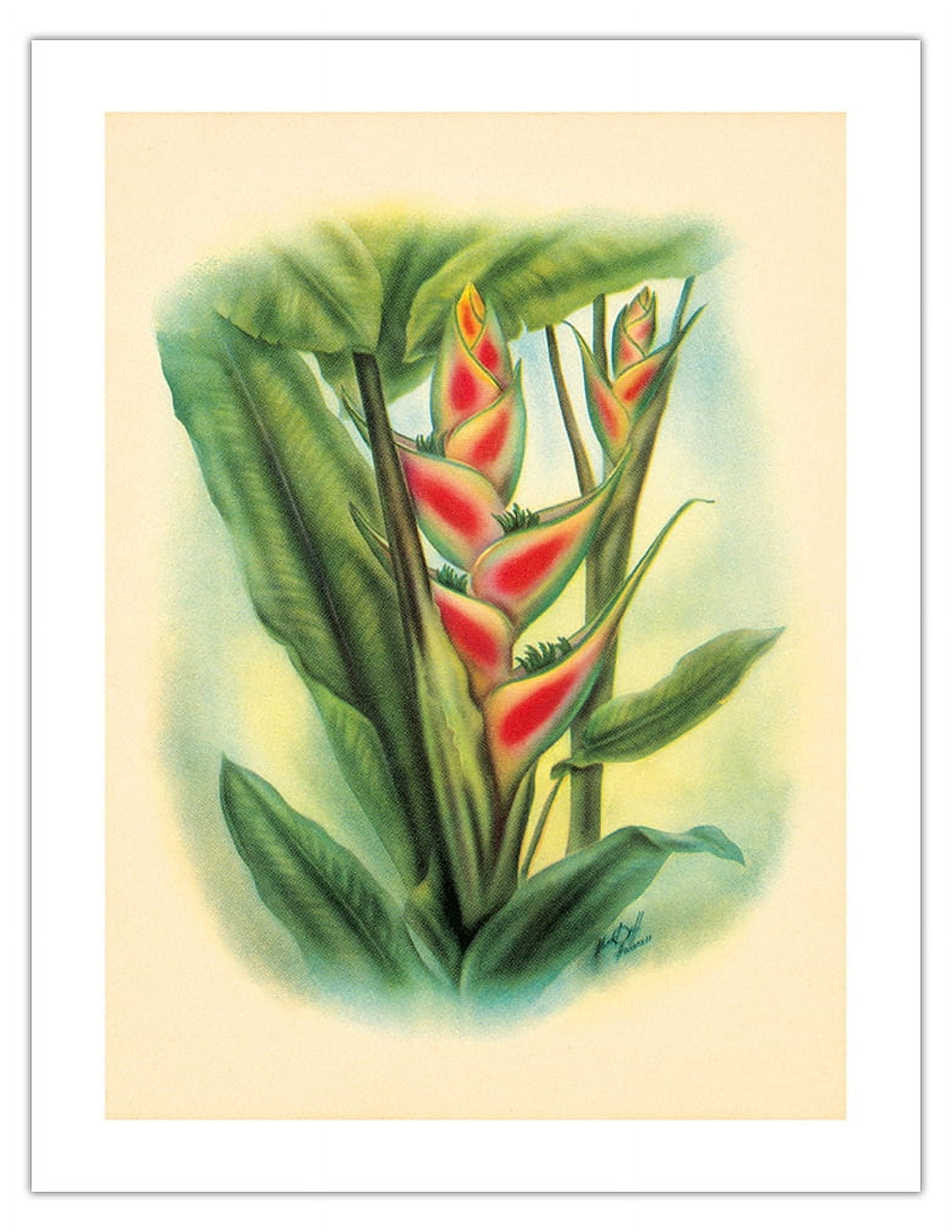 Heliconia - Color Book Plate from - In An Old Hawaiian Garden - Vintage ...