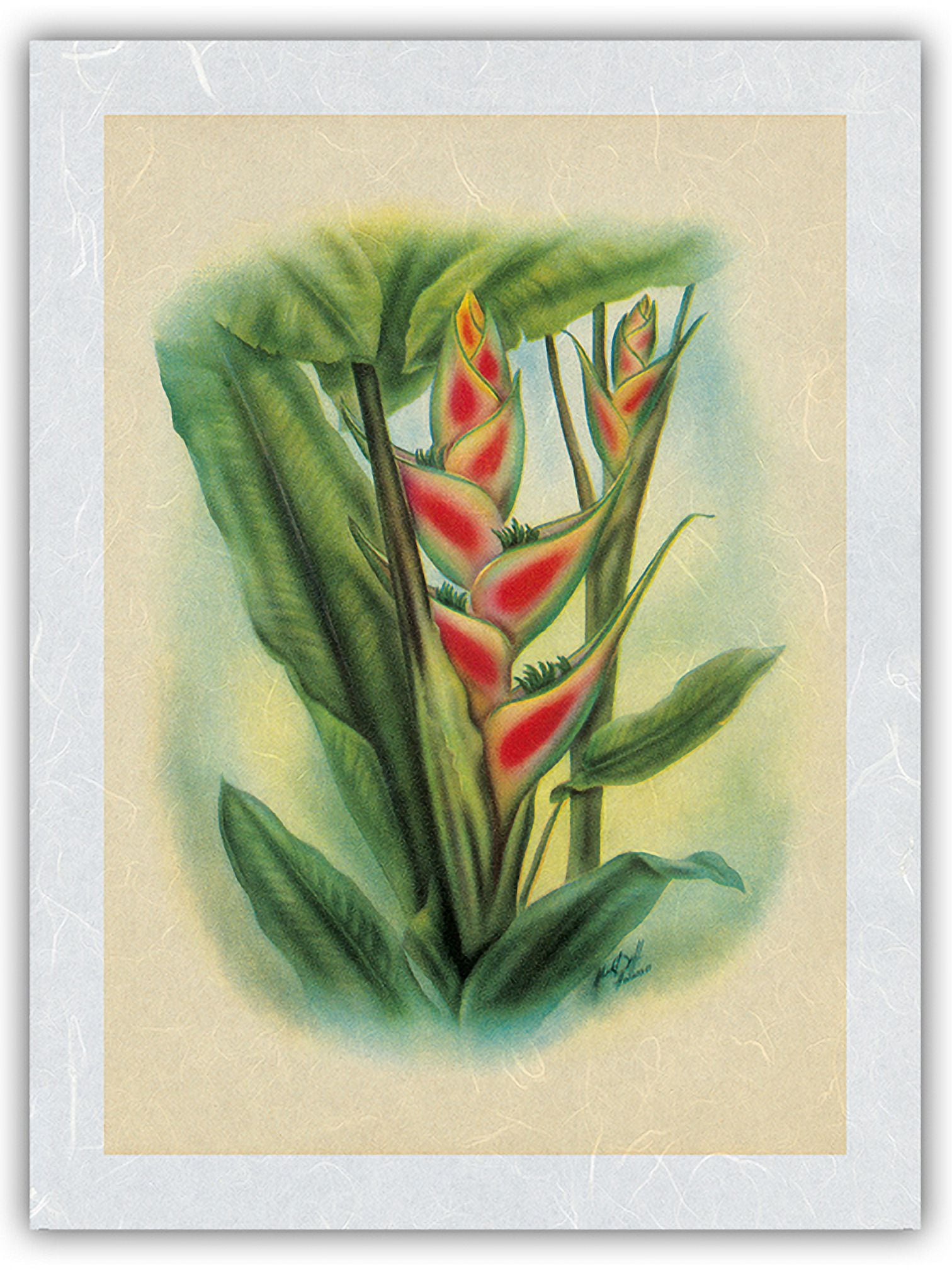 Heliconia - Color Book Plate from - In An Old Hawaiian Garden - Vintage ...