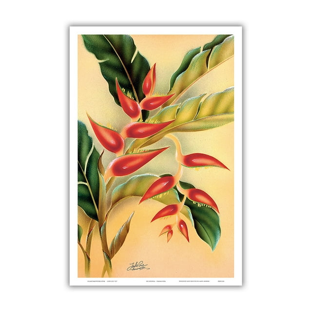 Heliconia Flower - Vintage Hawaiian Airbrush Art by Frank Oda (Hale Pua ...