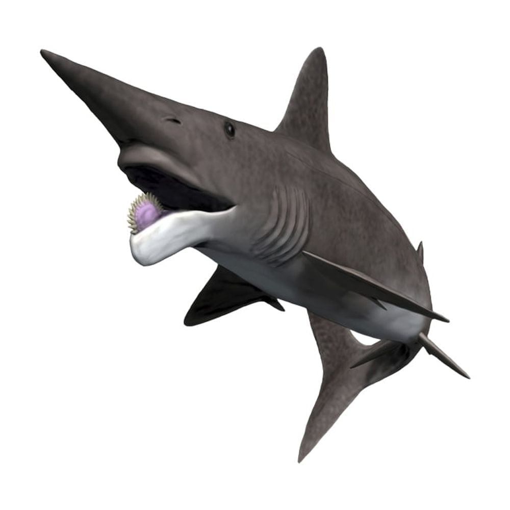Helicoprion bessonovi is a cartilaginous fish from the Paleozoic Era ...