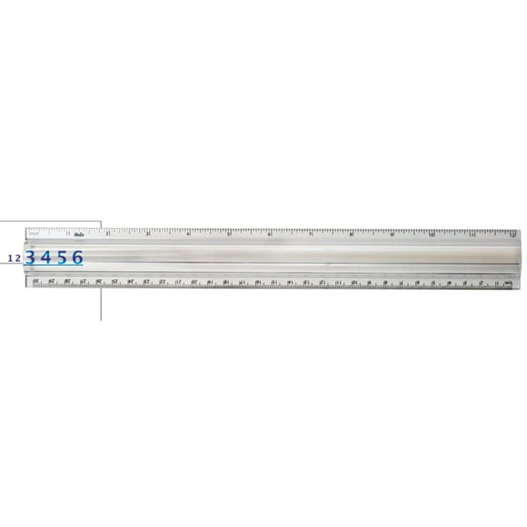 12 Inch Ruler