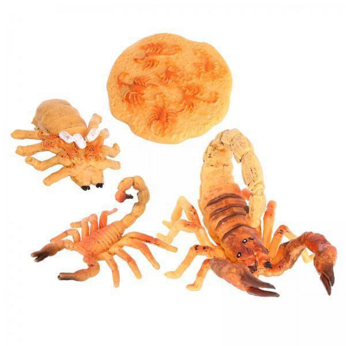 Hellery 3xAssorted Scorpion Figures Model Kids Educational Toys Gifts 3 ...