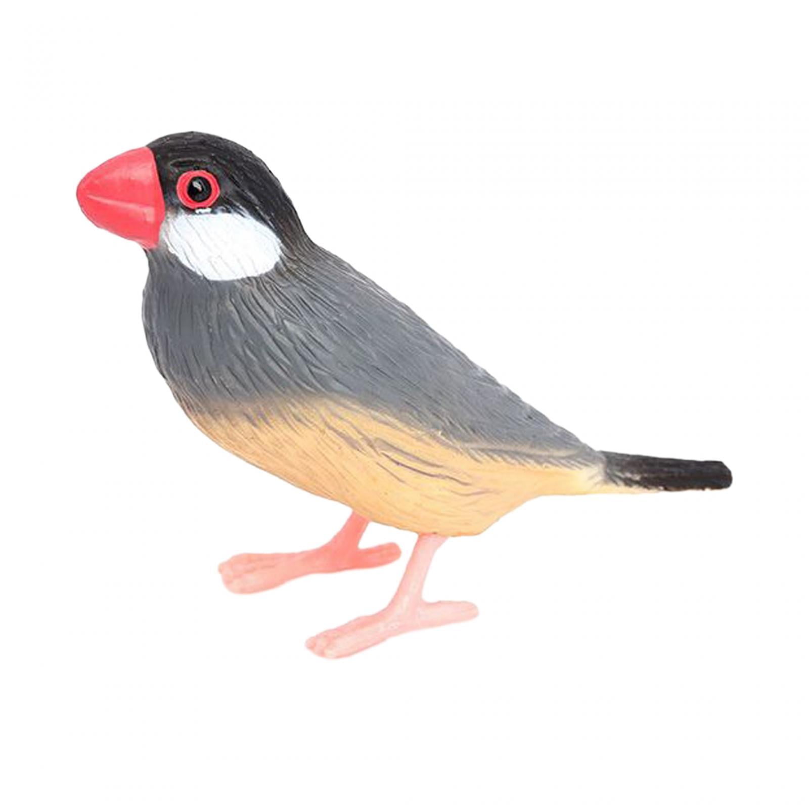 Hellery Simulation Bird Model Children's Toy Decoration Realistic ...