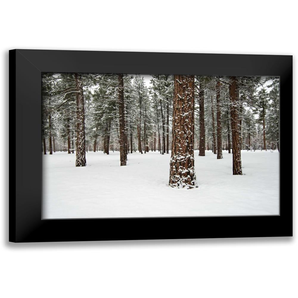 Hellmann, Stan 18x13 Black Modern Framed Museum Art Print Titled ...