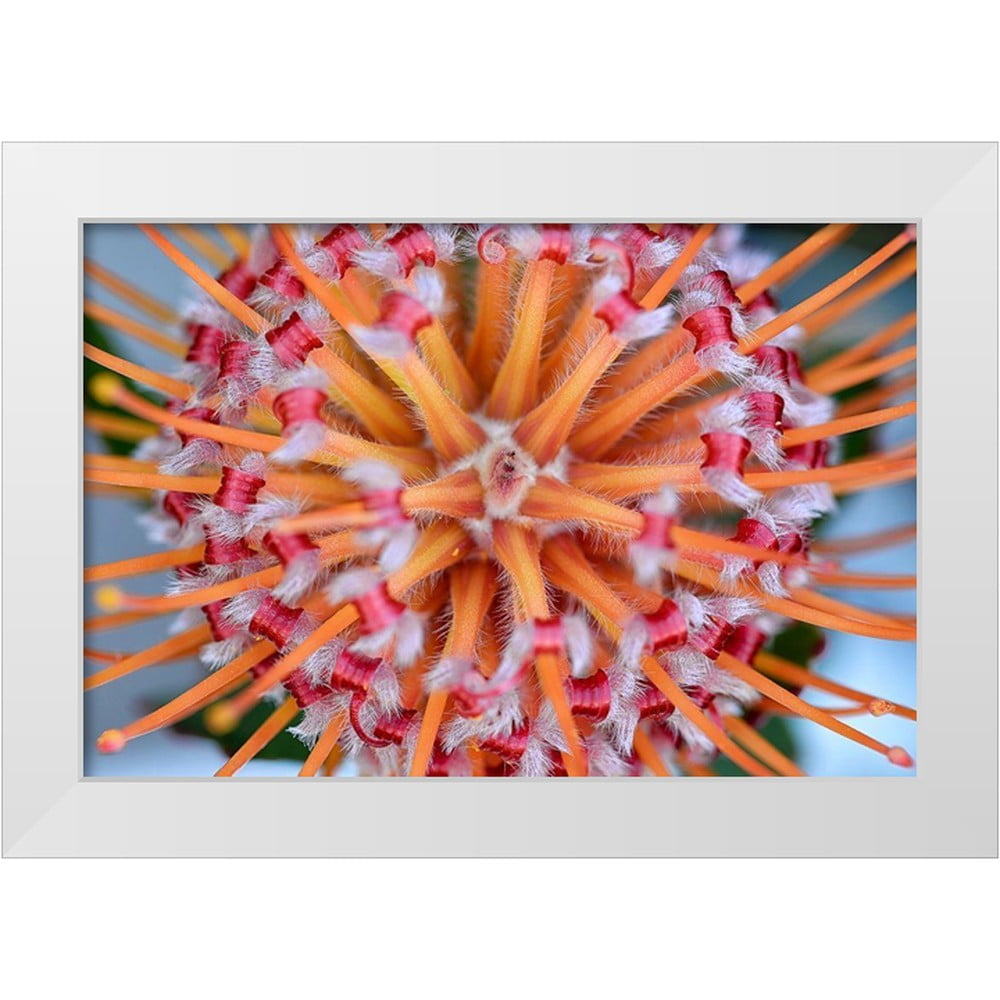 Hellmann, Stan 18x13 White Modern Wood Framed Museum Art Print Titled ...
