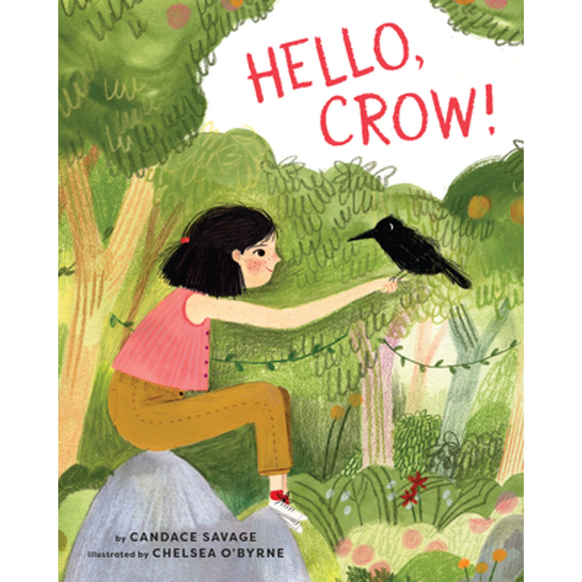 Pre-Owned Hello, Crow (Hardcover) 1771644443 9781771644440 - Walmart.com