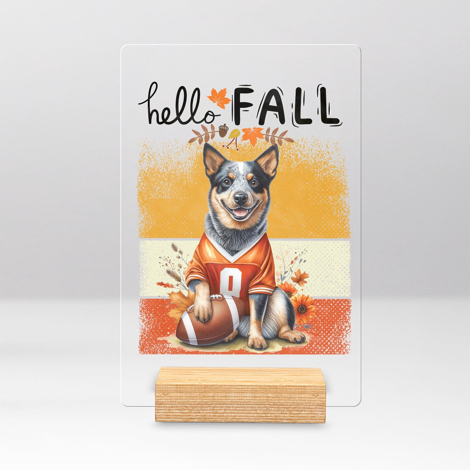 Hello Fall Australian Cattle Dog Football Welcome Autumn with Leaves ...