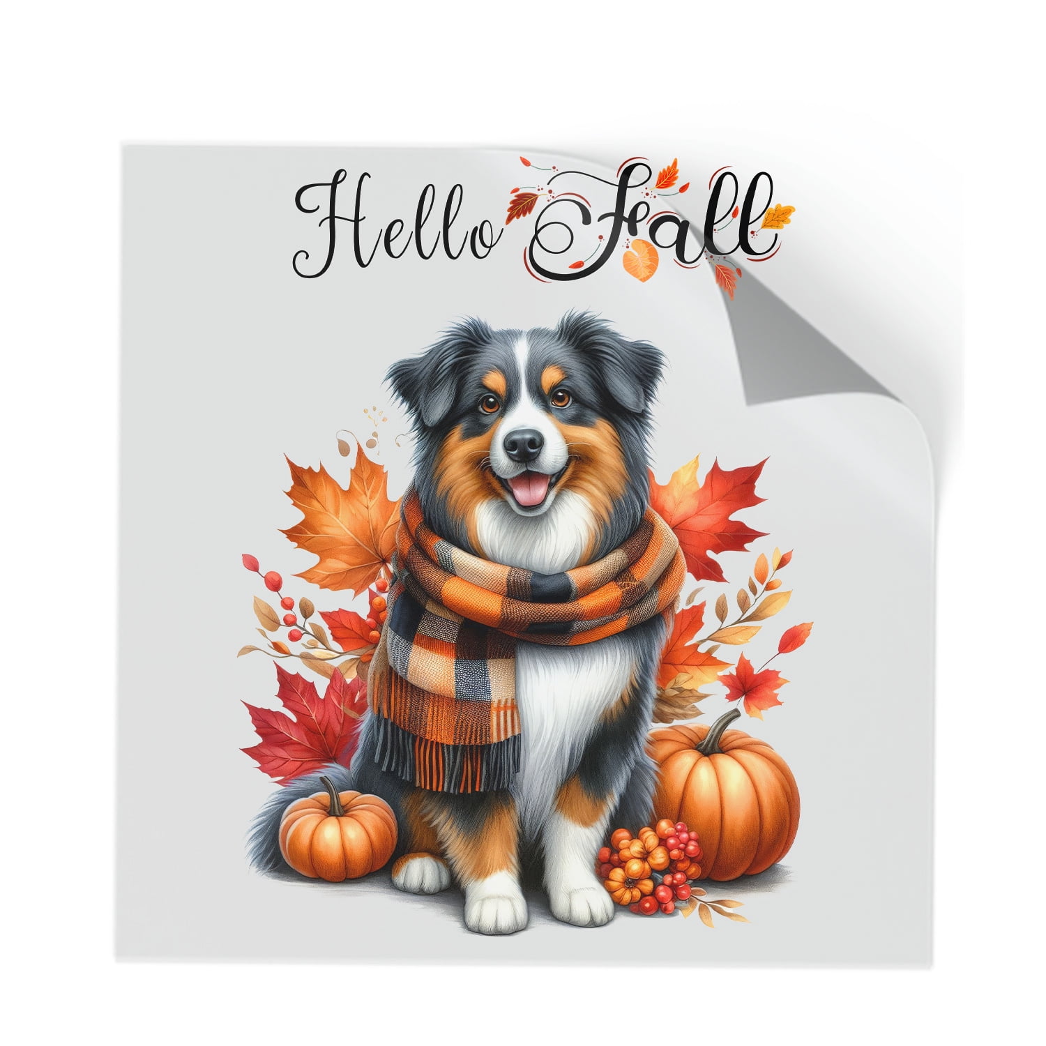 Hello Fall Australian Shepherd Scarf Welcome Autumn with Leaves ...
