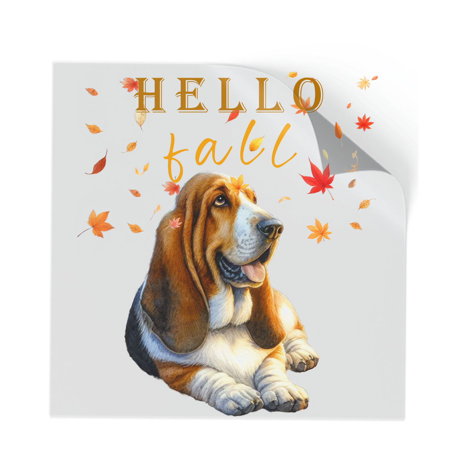 Hello Fall Basset Hound Enjoys Warm Campfire Autumn Night Bright Moon ...