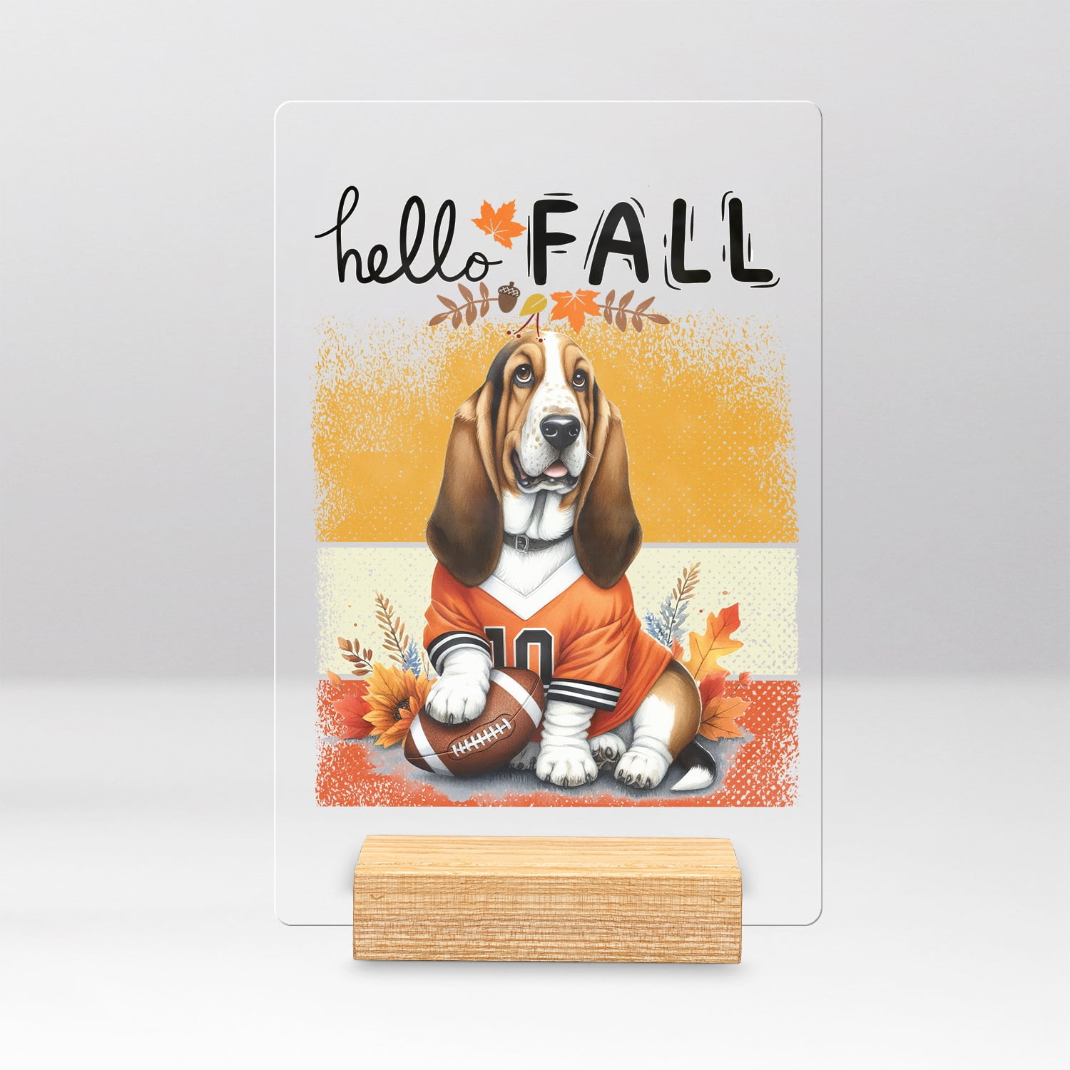 Hello Fall Basset Hound Football Welcome Autumn with Leaves Pumpkins ...