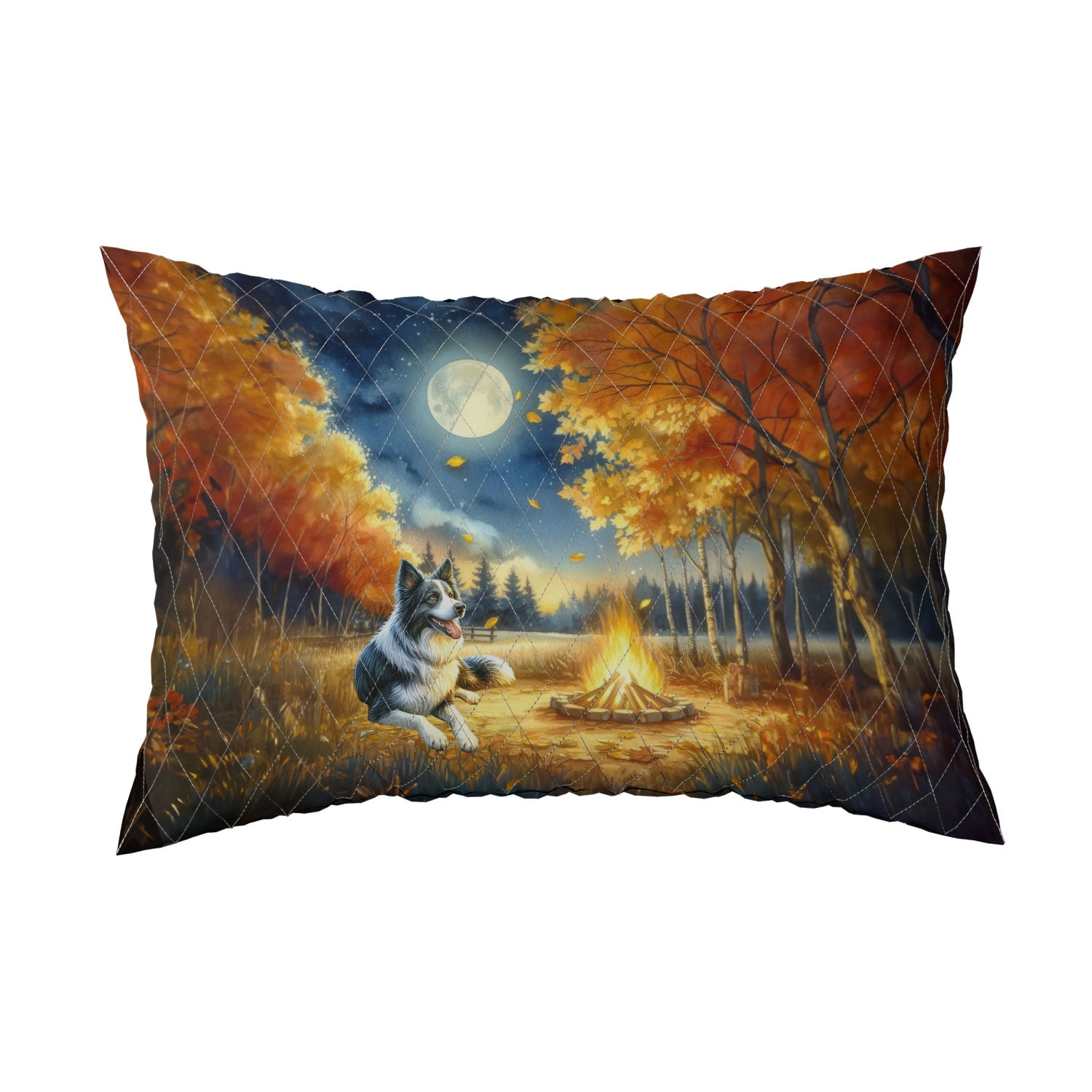 Hello Fall Border Collie Enjoys Warm Campfire Autumn Night Bright Moon ...