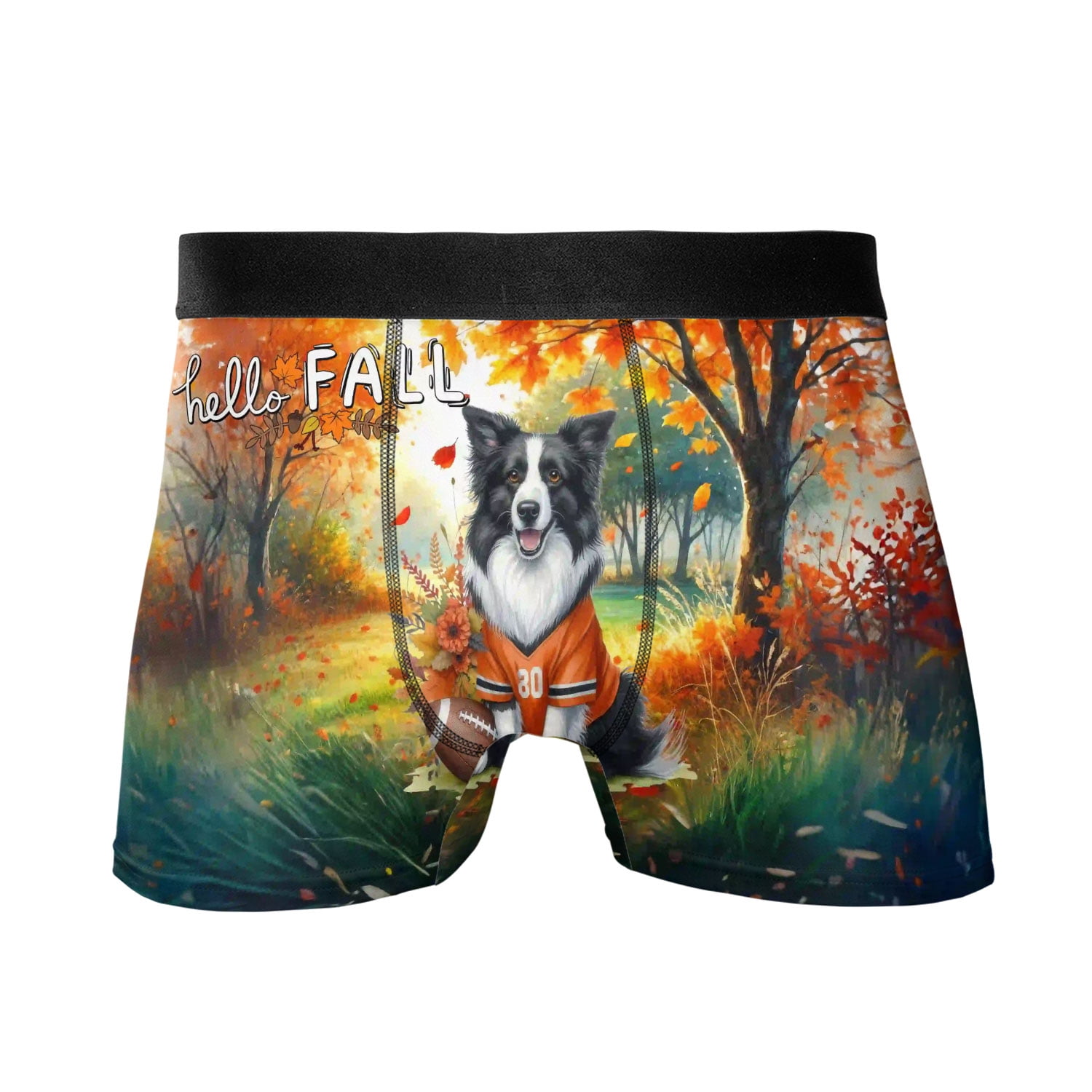 Hello Fall Border Collie Football Welcome Autumn with Leaves Pumpkins ...