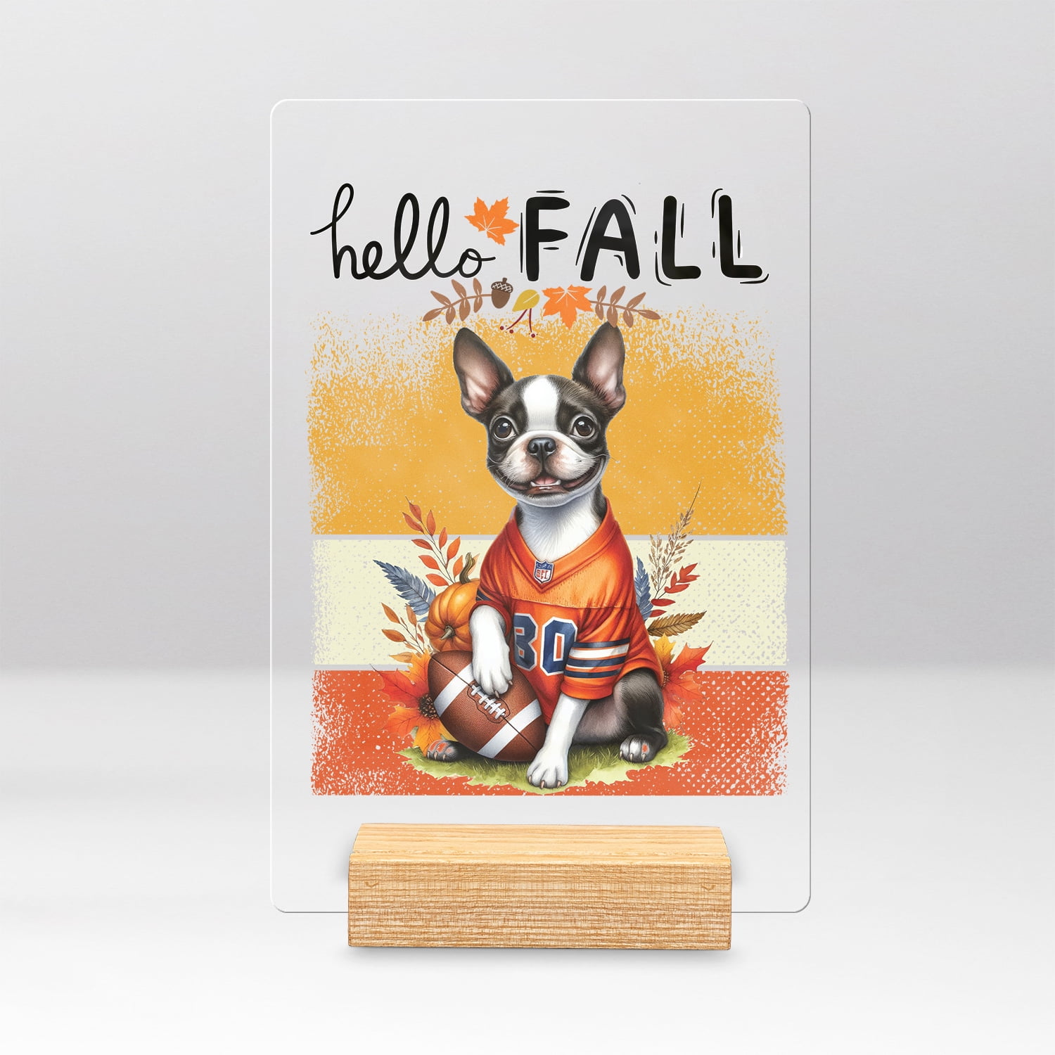 Hello Fall Boston Terrier Football Welcome Autumn with Leaves Pumpkins ...