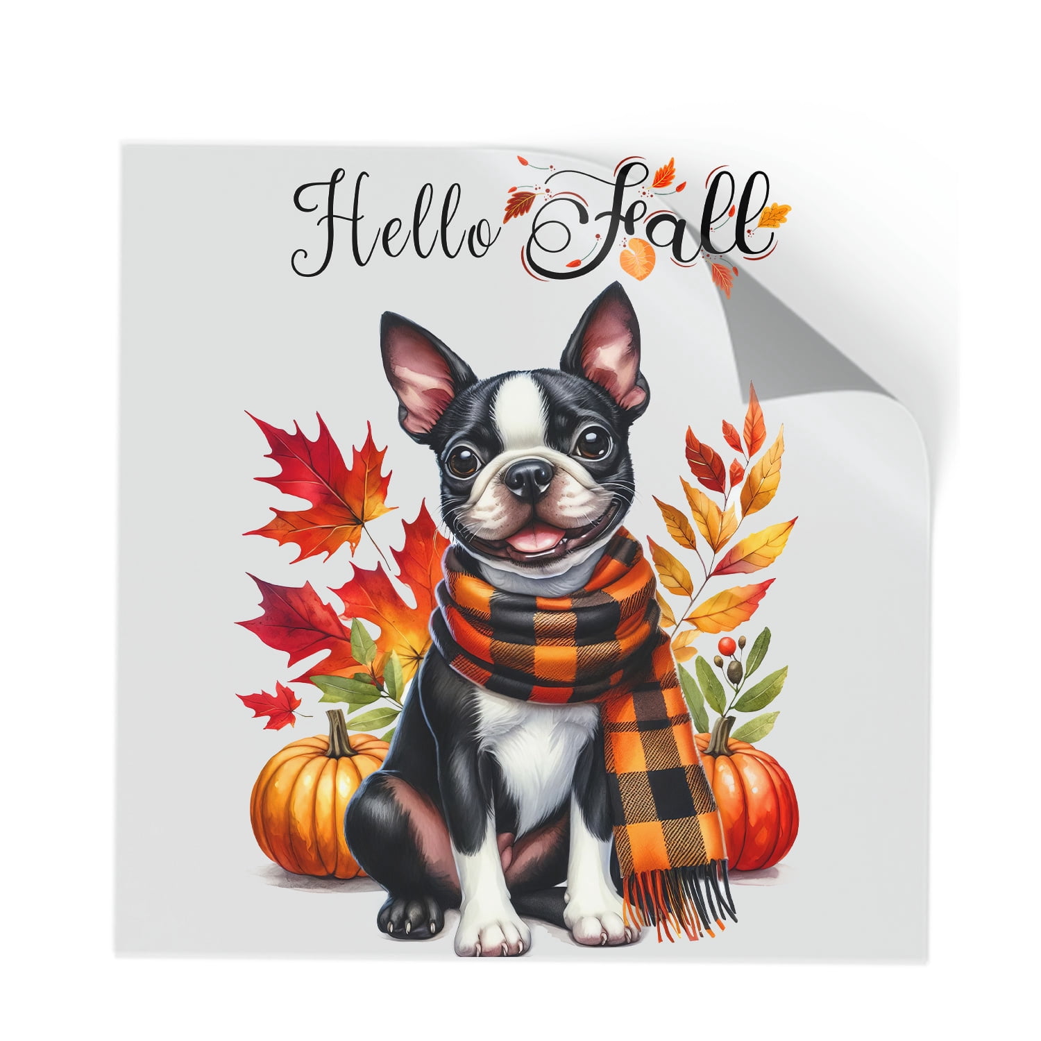 Hello Fall Boston Terrier Scarf Welcome Autumn with Leaves Pumpkins ...