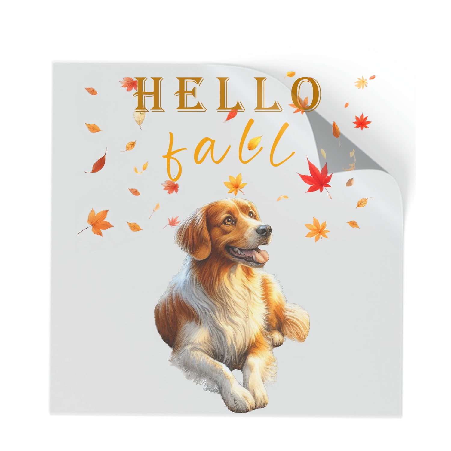 Hello Fall Brittany Spaniel Enjoys Warm Campfire Autumn Night Bright ...