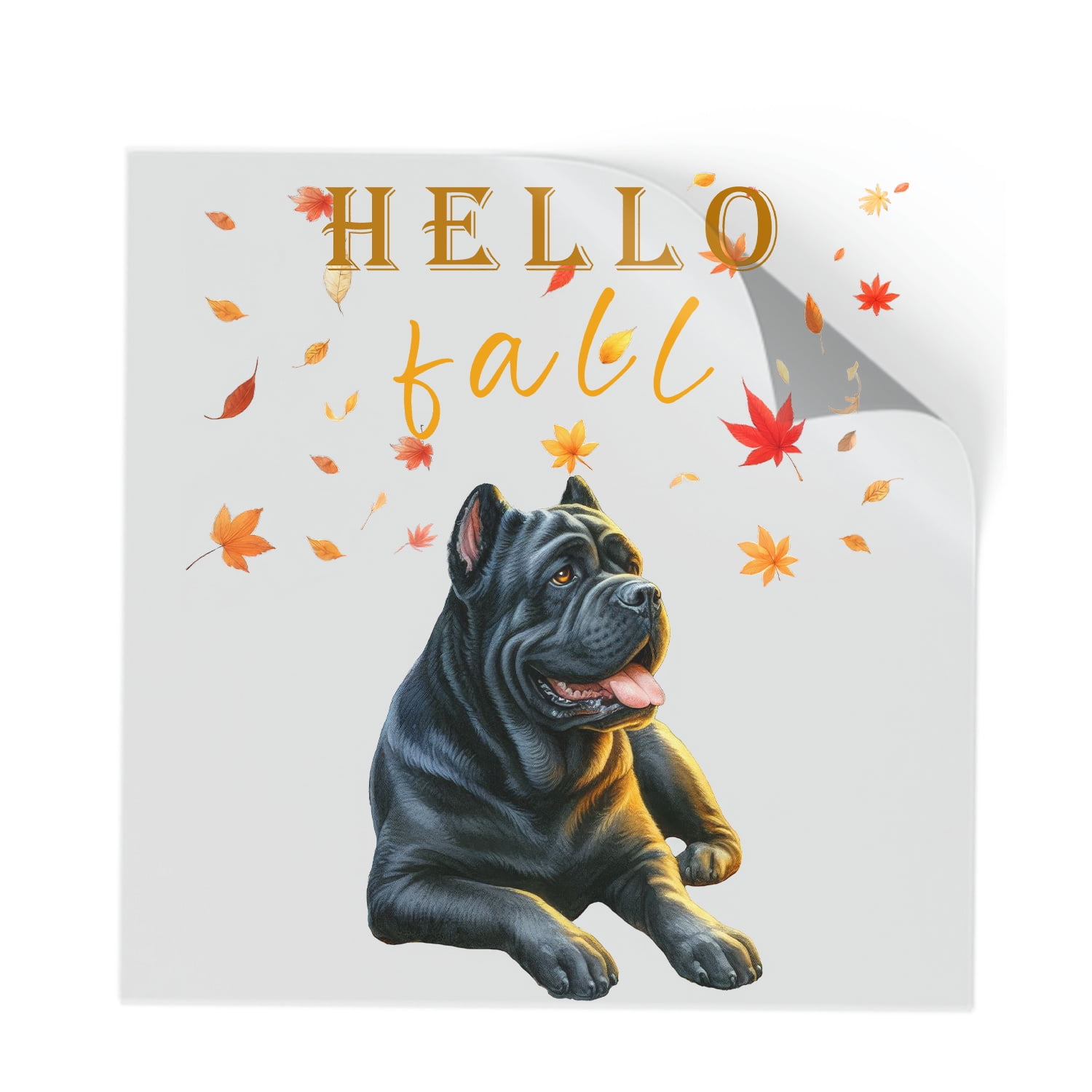 Hello Fall Cane Corso Enjoys Warm Campfire Autumn Night Bright Moon ...