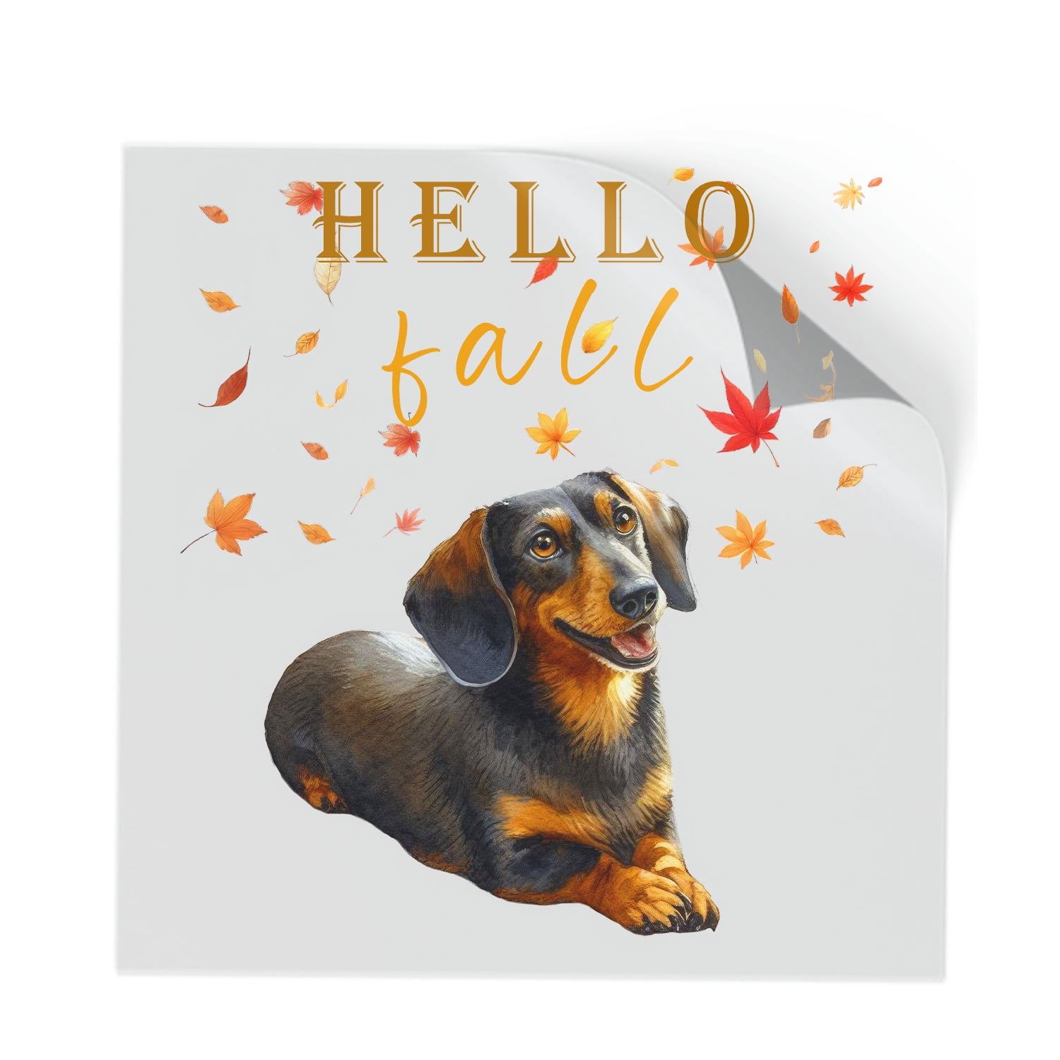 Hello Fall Dachshund Enjoys Warm Campfire Autumn Night Bright Moon ...