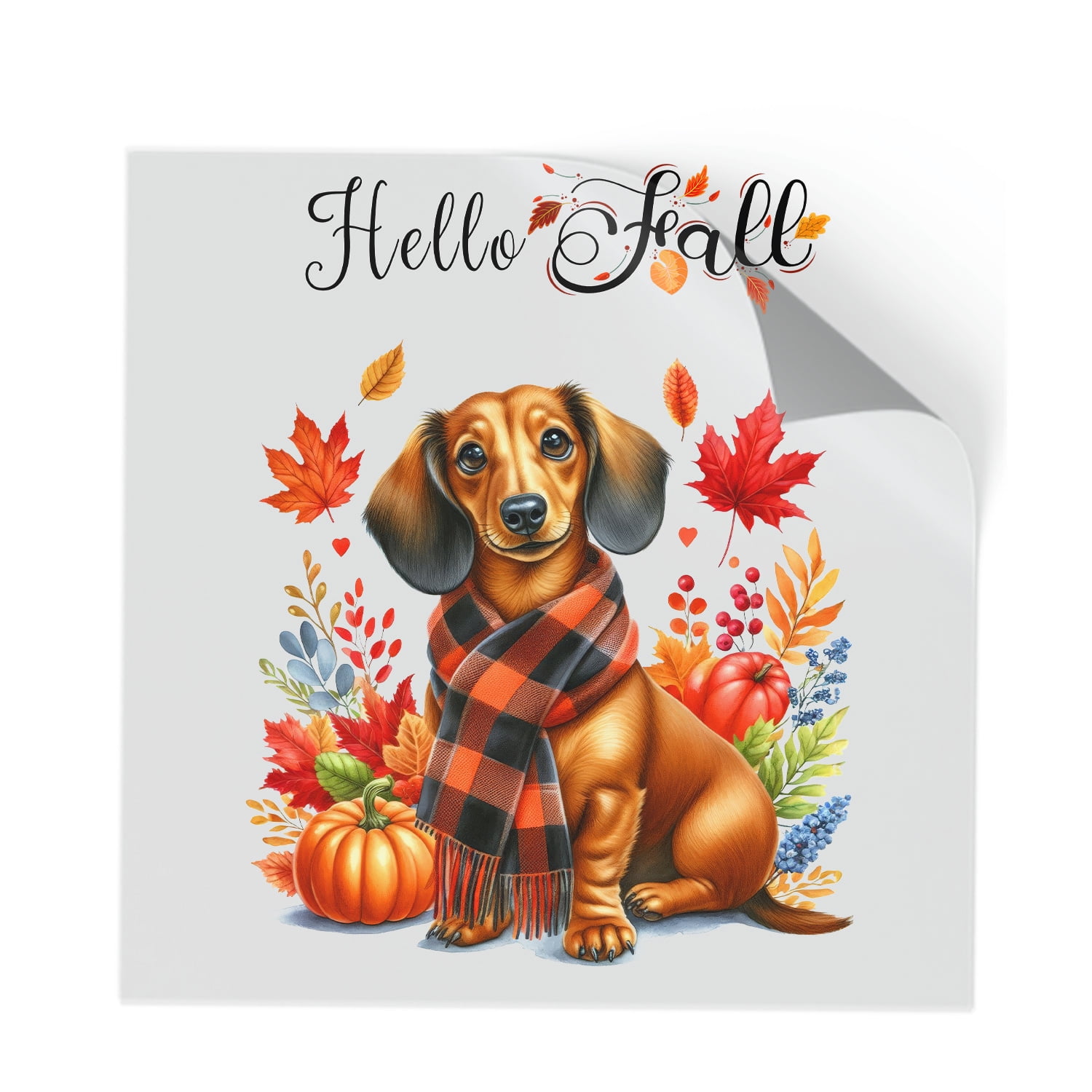 Hello Fall Dachshund Scarf Welcome Autumn with Leaves Pumpkins Cutout ...