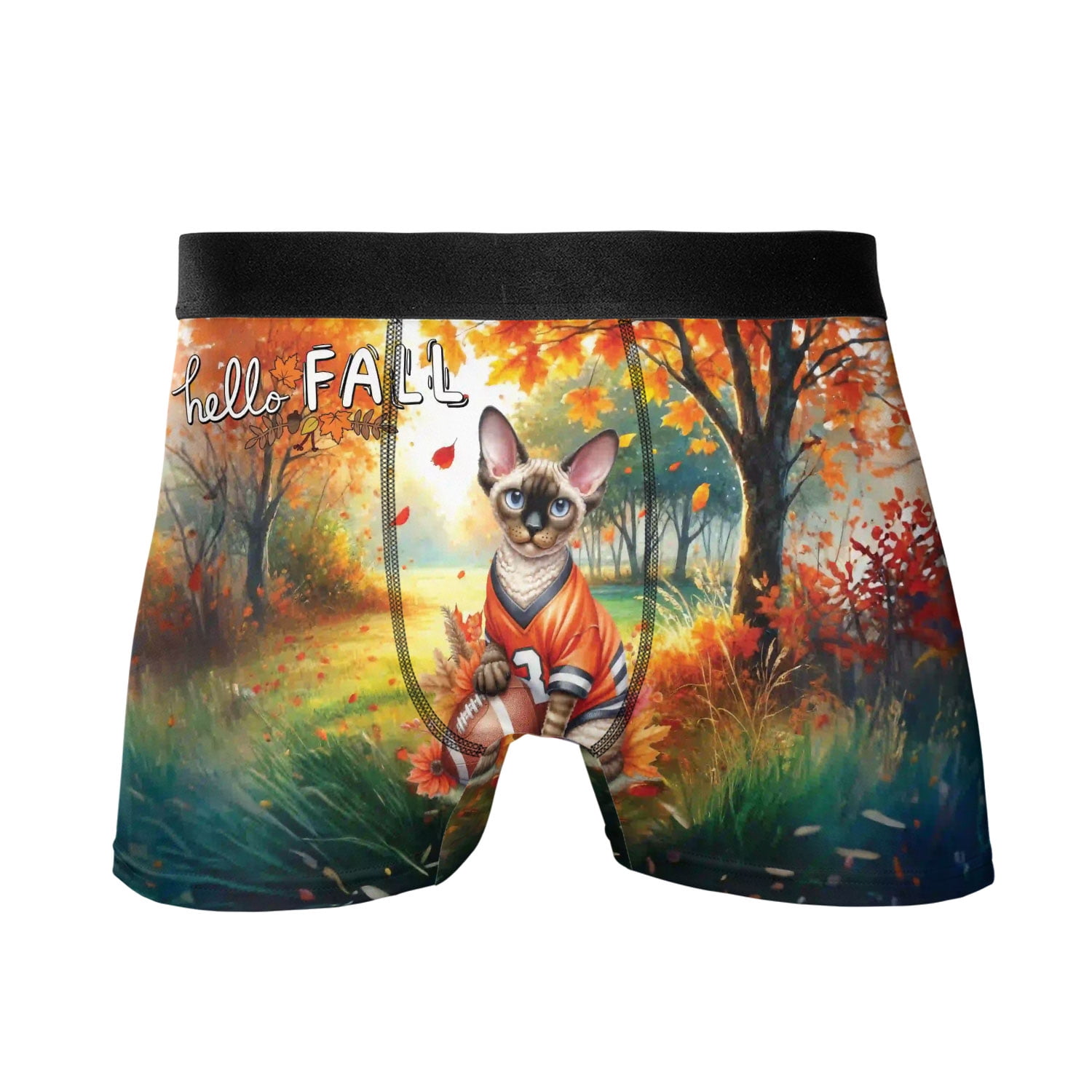 Hello Fall Devon Rex Football Welcome Autumn with Leaves Pumpkins All Over Print Boxer Briefs ...