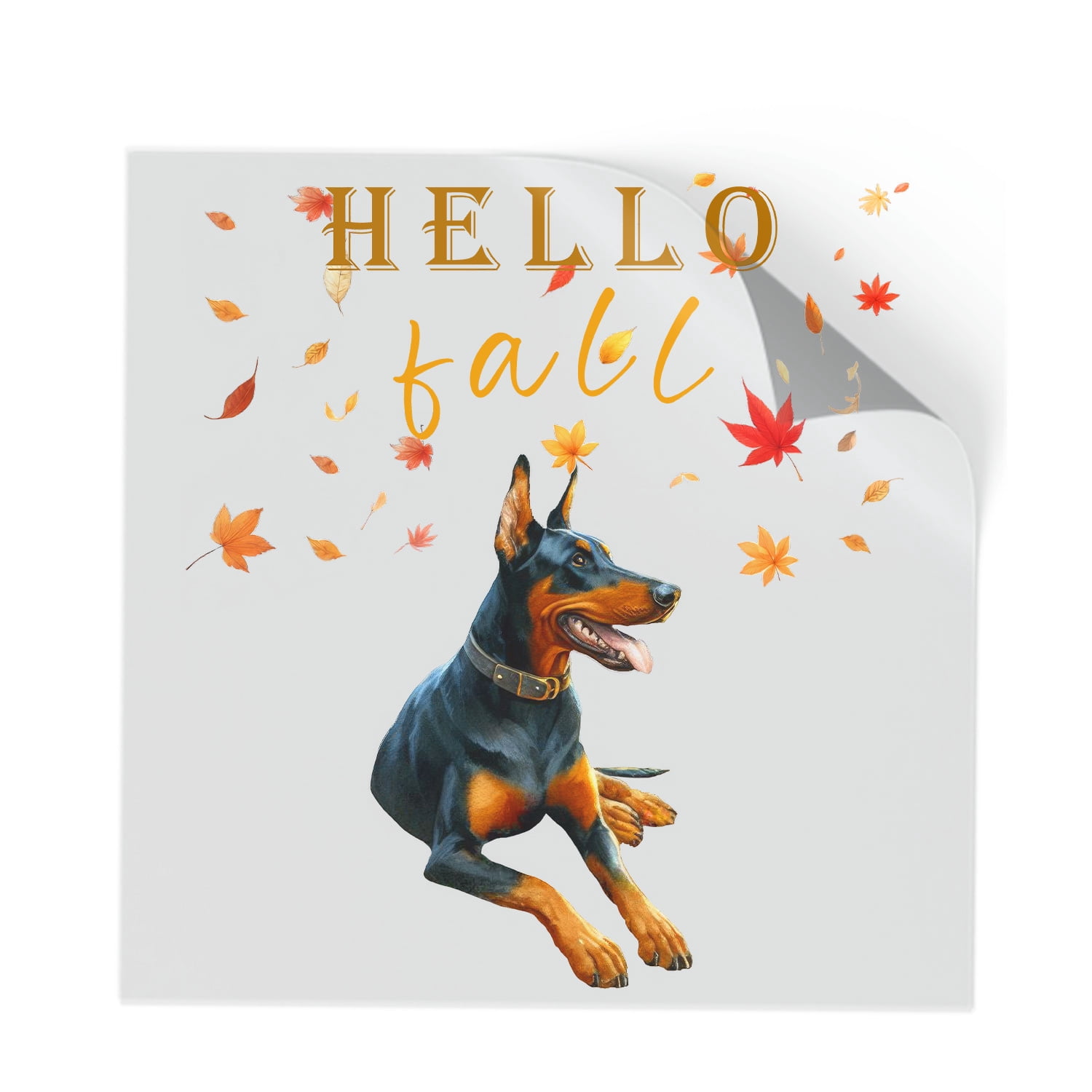 Hello Fall Doberman Pinscher Enjoys Warm Campfire Autumn Night Bright ...