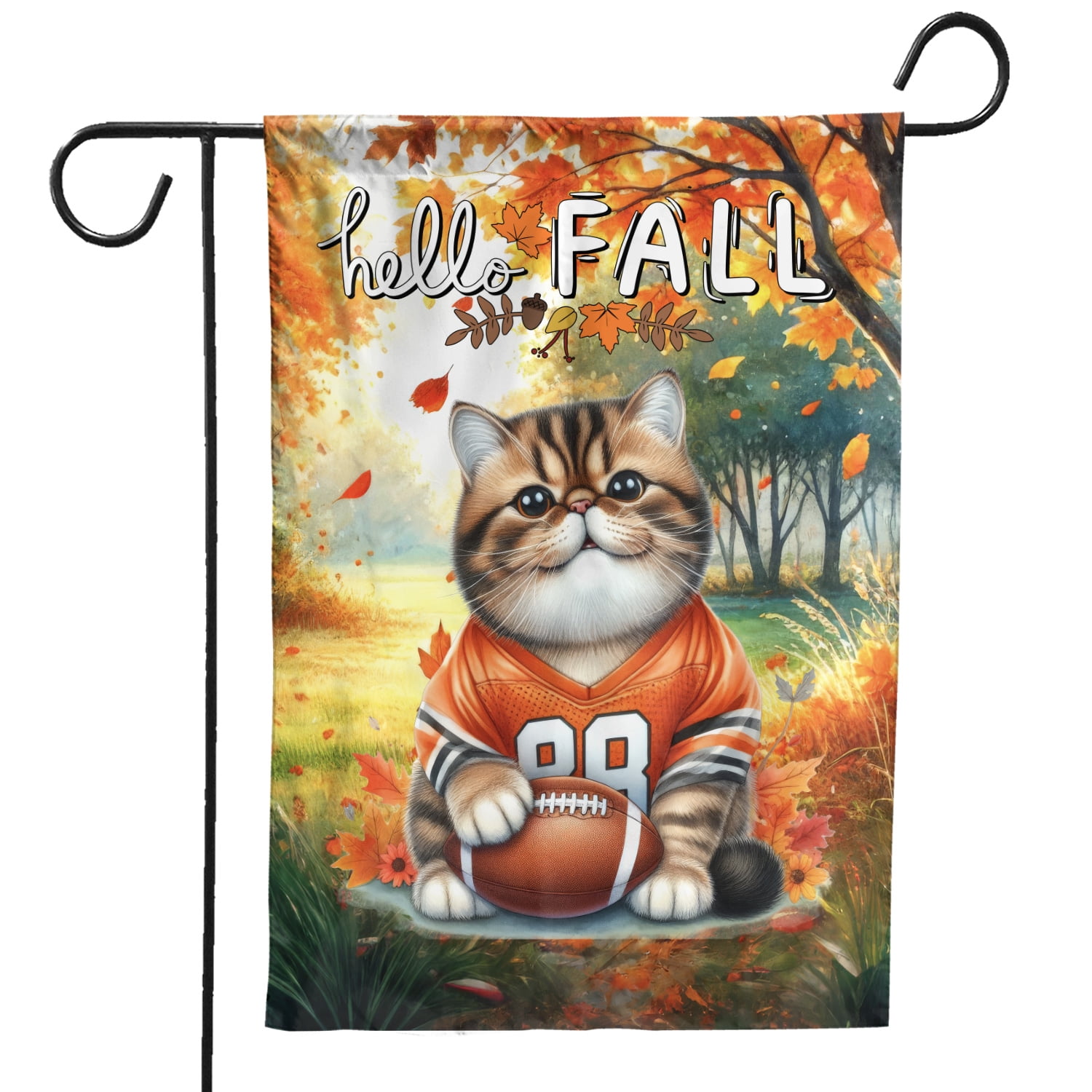 Hello Fall Exotic Shorthair Football Welcome Autumn with Leaves ...
