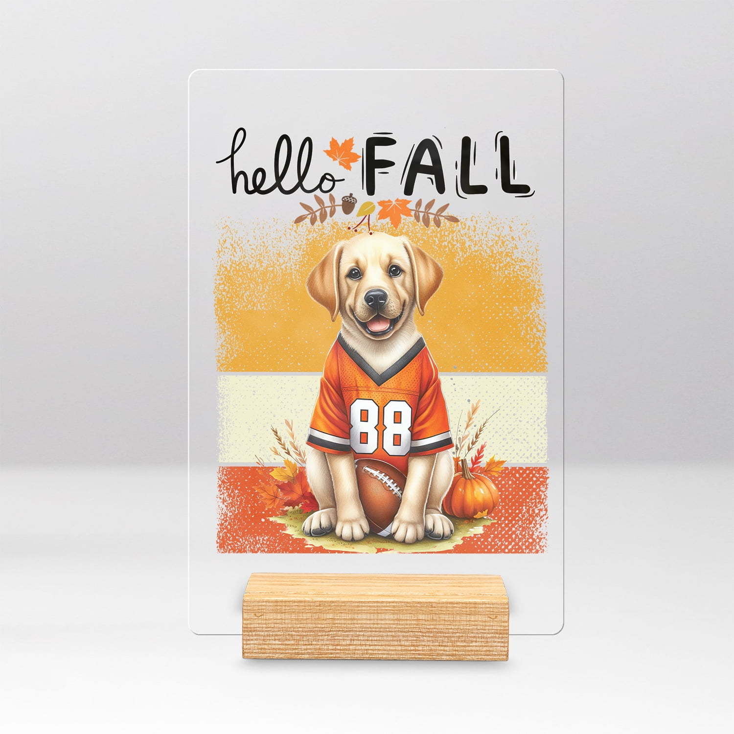 Hello Fall Labrador Retriever Football Welcome Autumn with Leaves ...