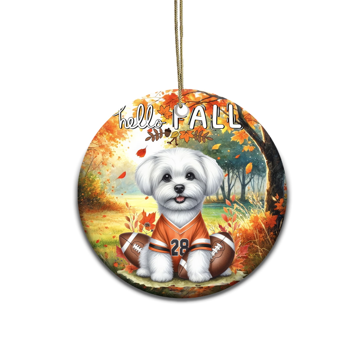 Hello Fall Maltese Football Welcome Autumn with Leaves Pumpkins Ceramic ...