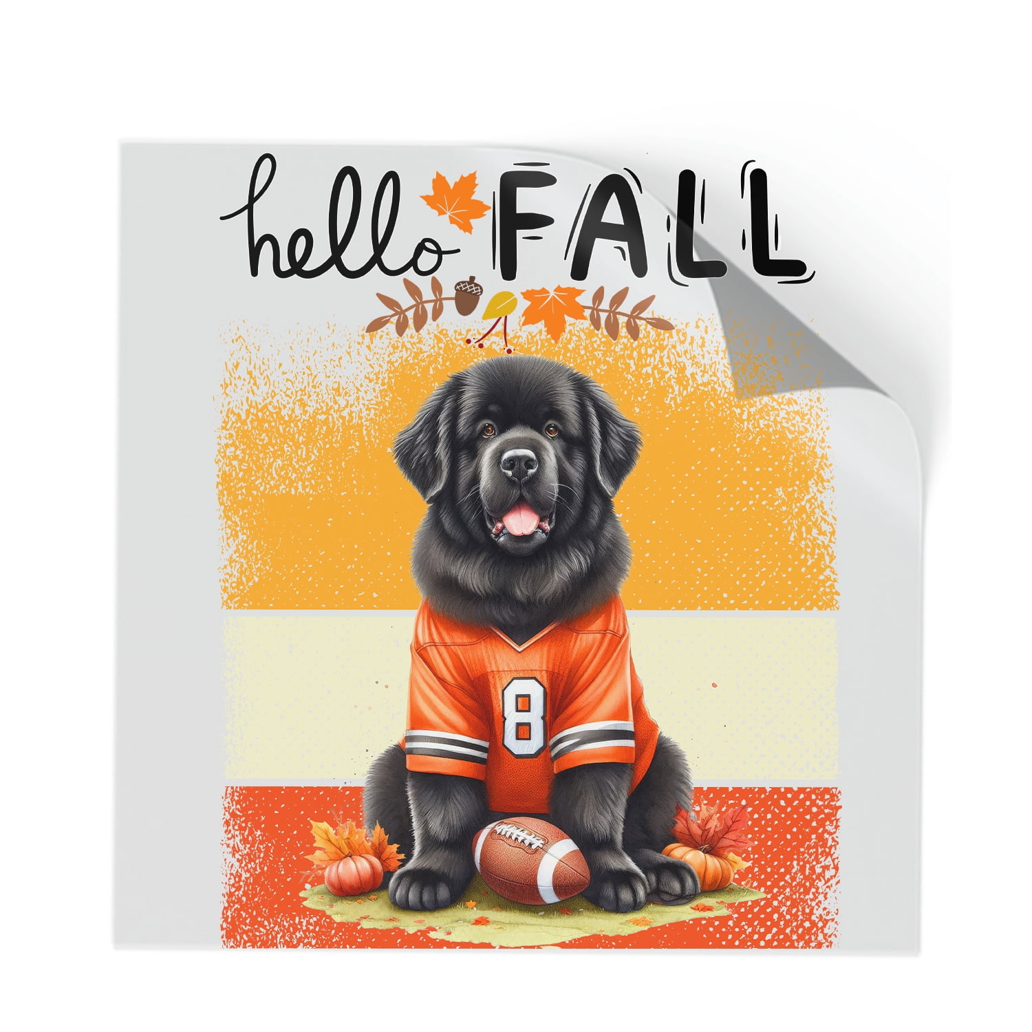 Hello Fall Newfoundland Football Welcome Autumn with Leaves Pumpkins ...