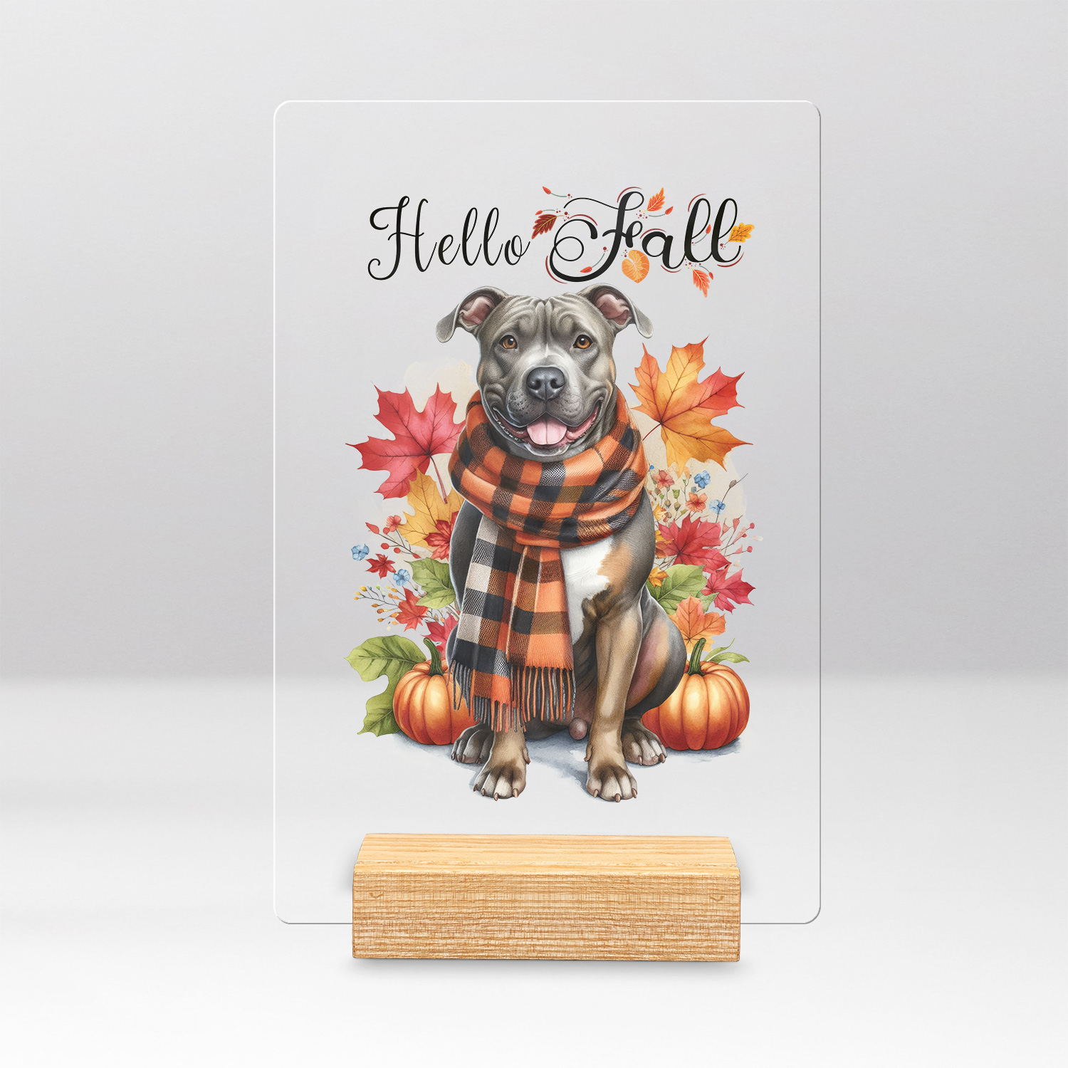 Hello Fall Pitbull Scarf Welcome Autumn with Leaves Pumpkins Acrylic ...