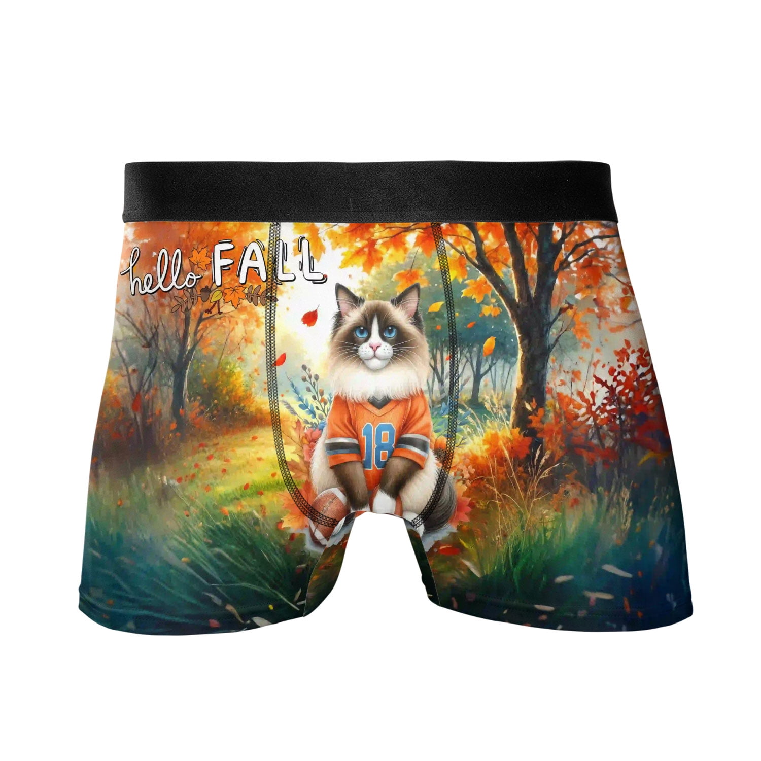 Hello Fall Ragdoll Football Welcome Autumn with Leaves Pumpkins All ...
