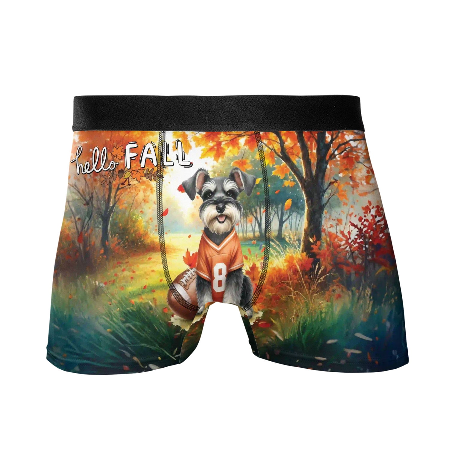 Hello Fall Schnauzer Football Welcome Autumn with Leaves Pumpkins All ...