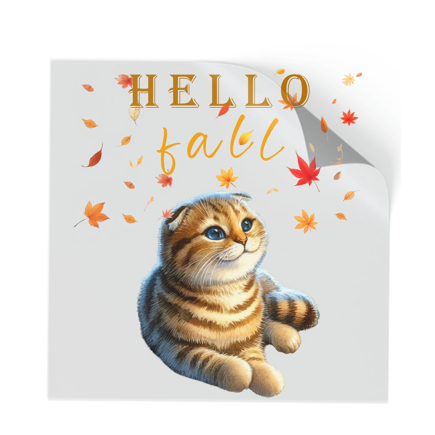 Hello Fall Scottish Fold Enjoys Warm Campfire Autumn Night Bright Moon ...