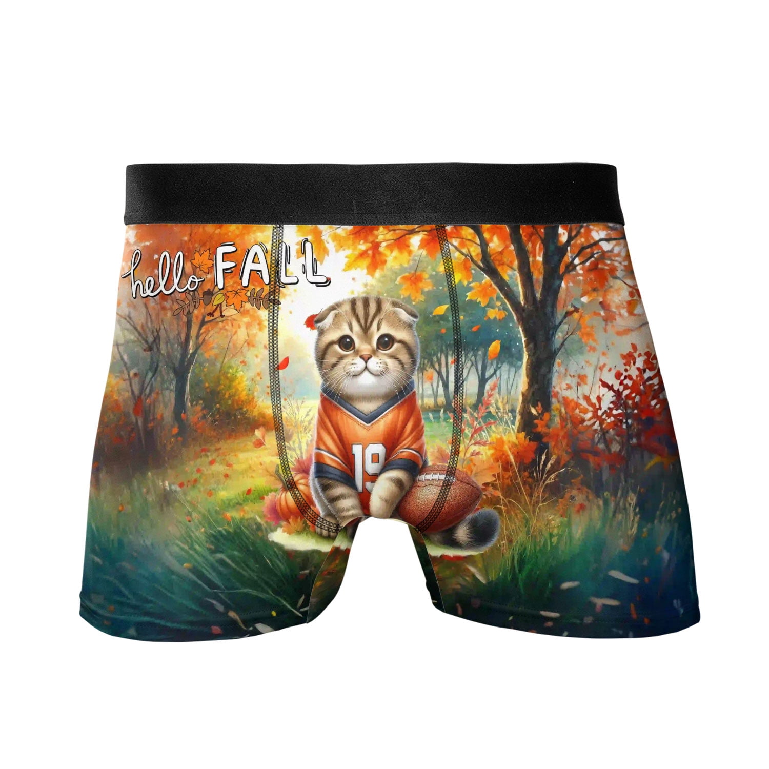 Hello Fall Scottish Fold Football Welcome Autumn with Leaves Pumpkins ...