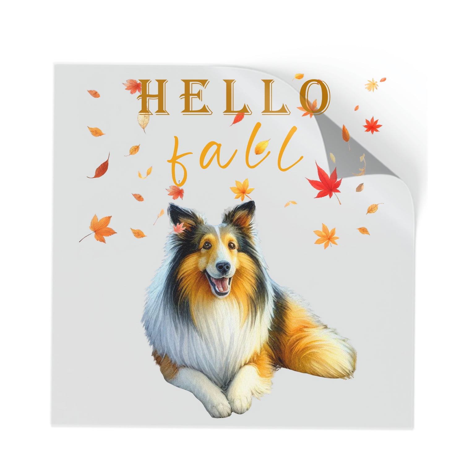 Hello Fall Shetland Sheepdog Enjoys Warm Campfire Autumn Night Bright ...