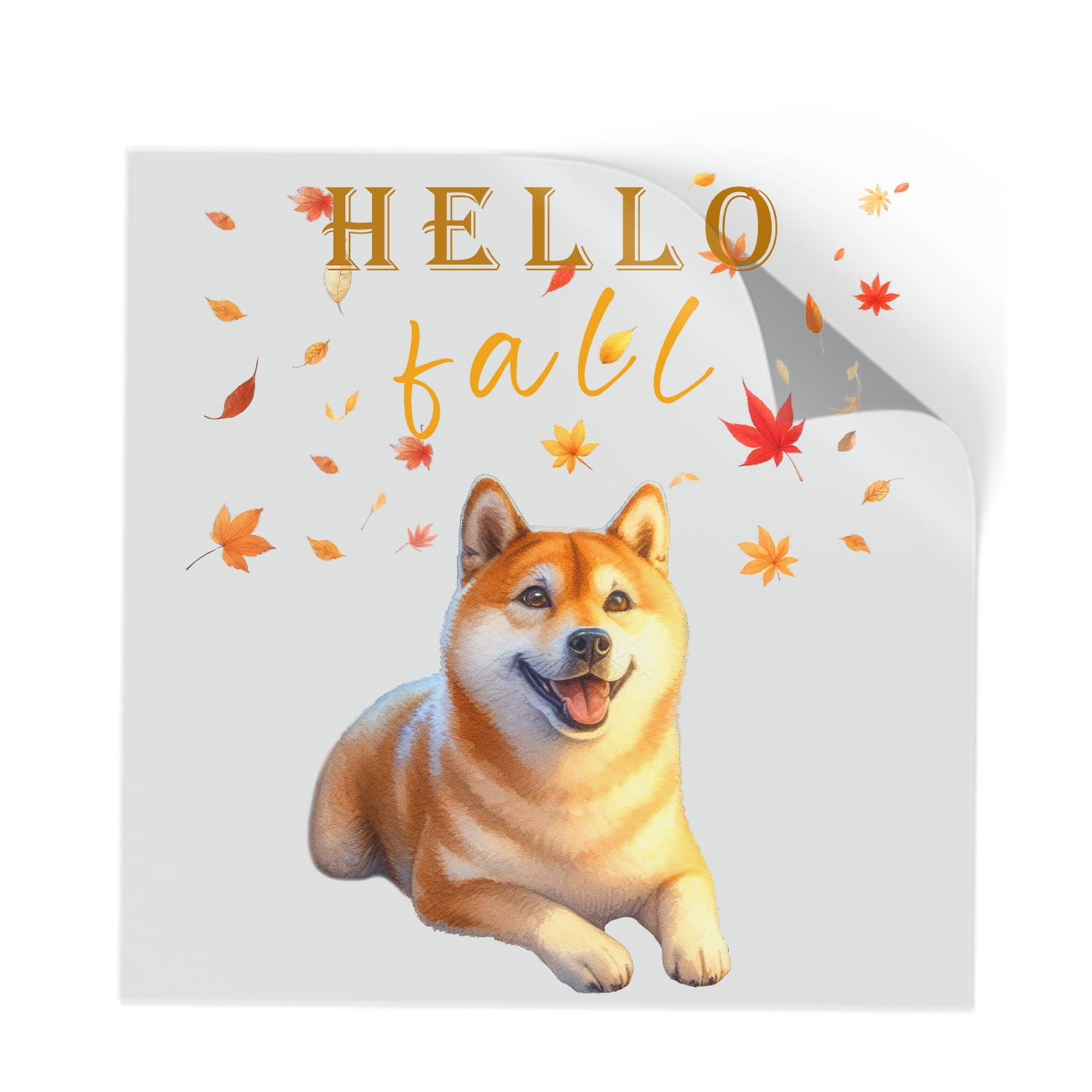Hello Fall Shiba Inu Enjoys Warm Campfire Autumn Night Bright Moon ...