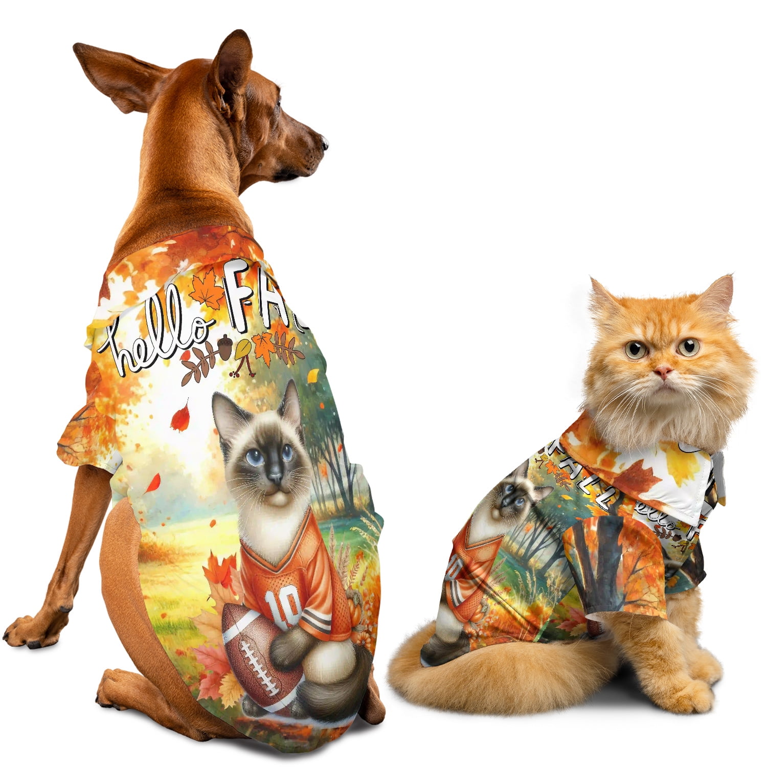 Hello Fall Siamese Football Welcome Autumn with Leaves Pumpkins ...